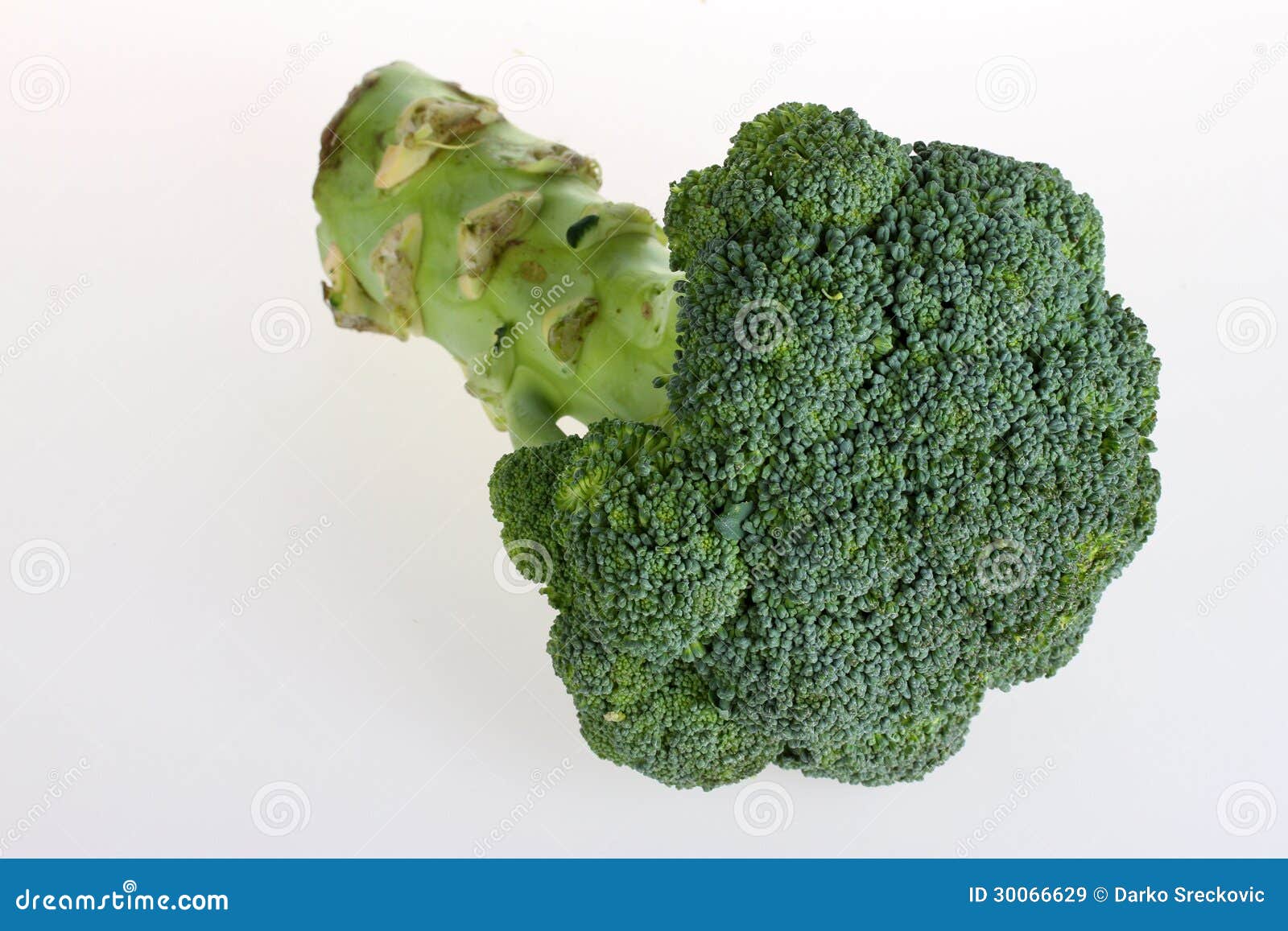 Broccoli stock image. Image of meal, vegetarian, cook - 30066629