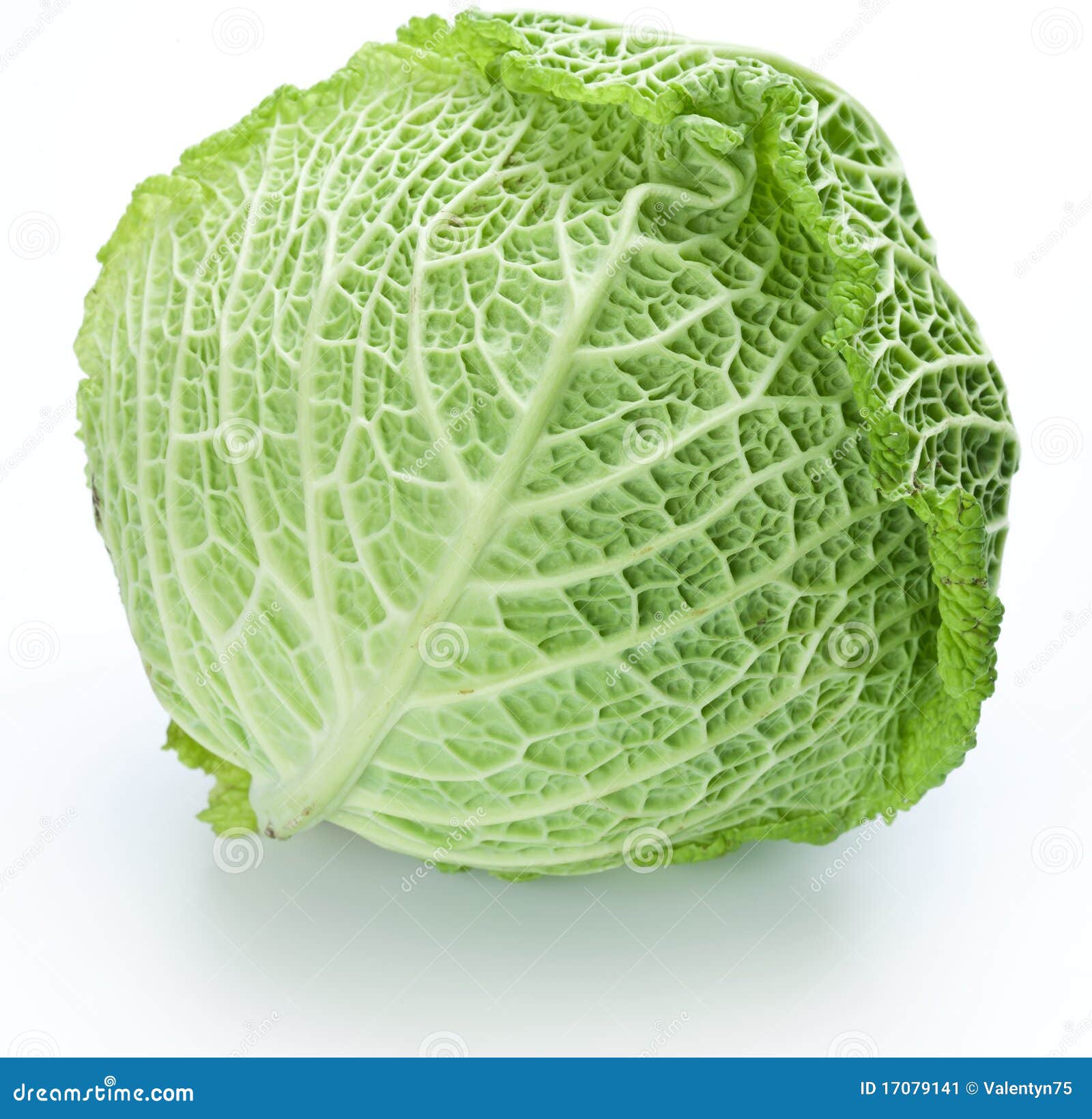 Photo of fresh cabbage stock image. Image of grow, flavoring - 17079141