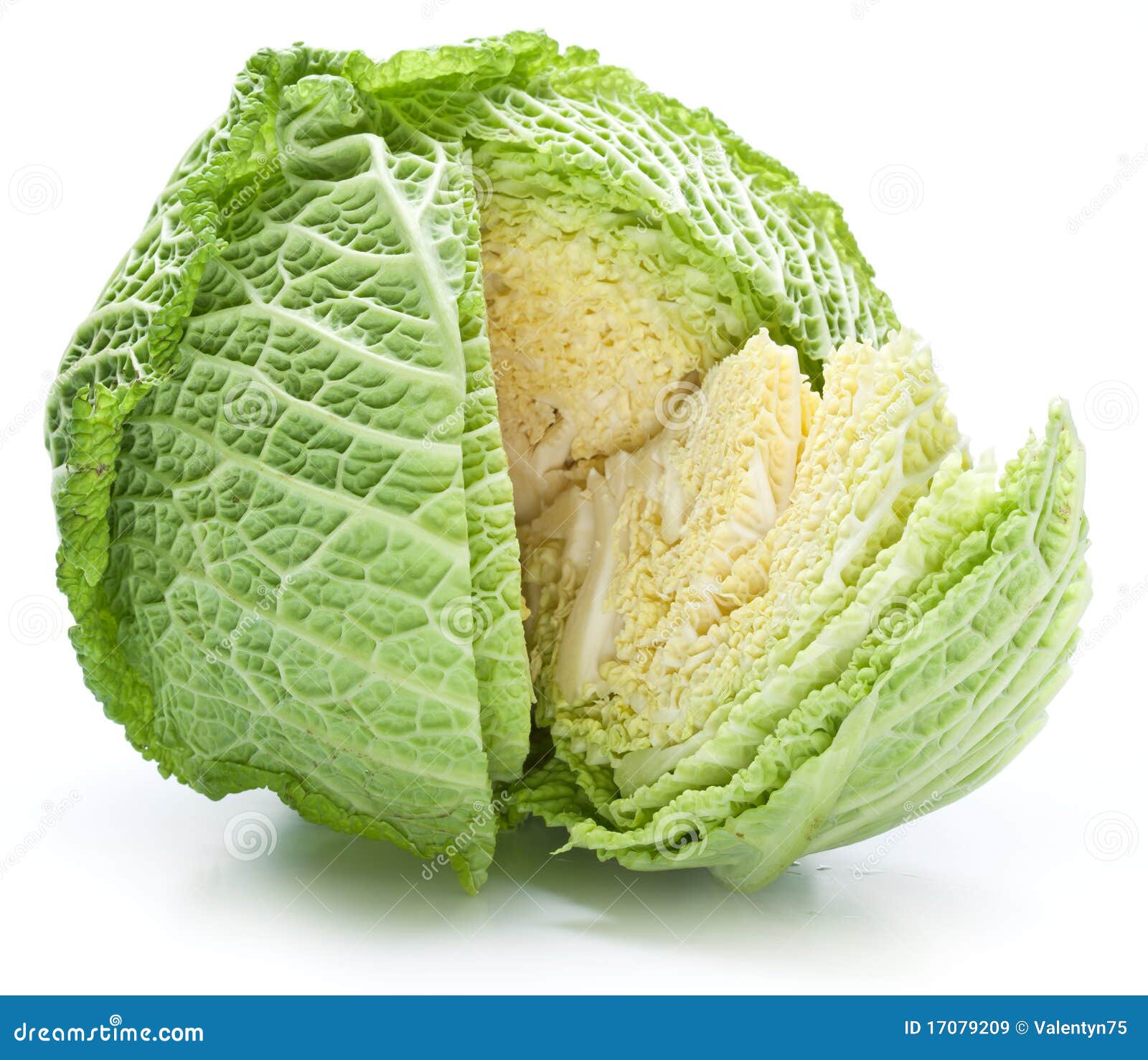 Fresh Cabbage In Organic Vegetables Farm Top View Background Royalty ...