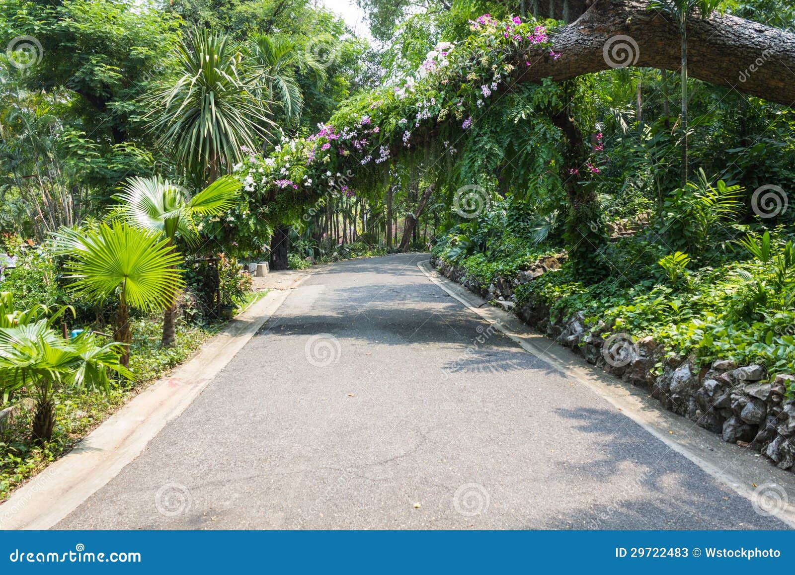 Garden passage stock image. Image of direction, green - 29722483