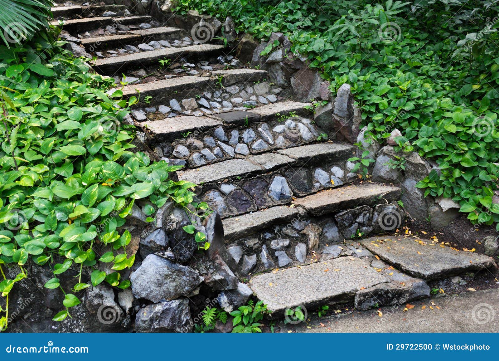 Garden passage stock photo. Image of grass, stone, park - 29722500