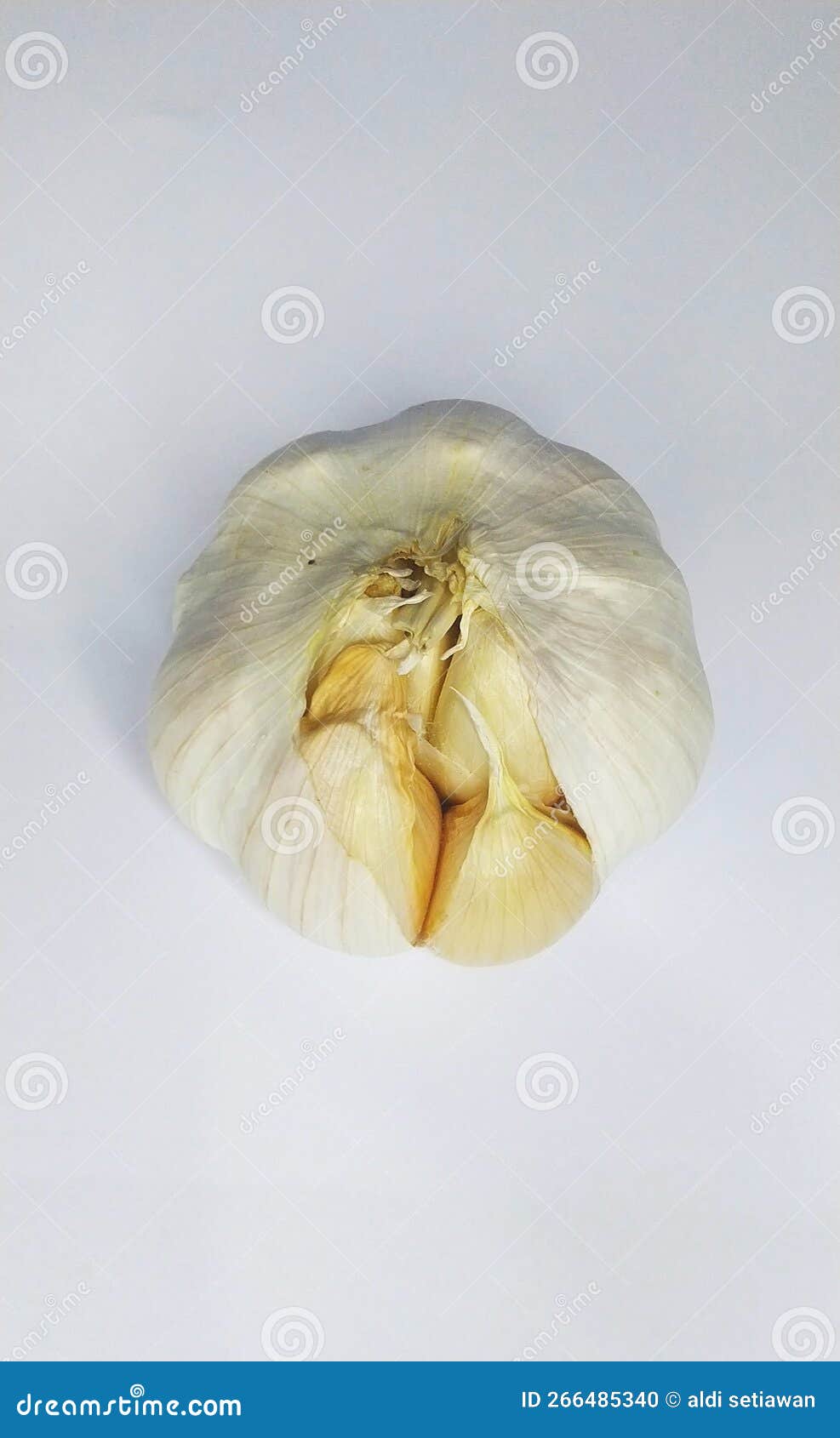 Photo of Garlic on White Paper Stock Photo - Image of ingredient ...