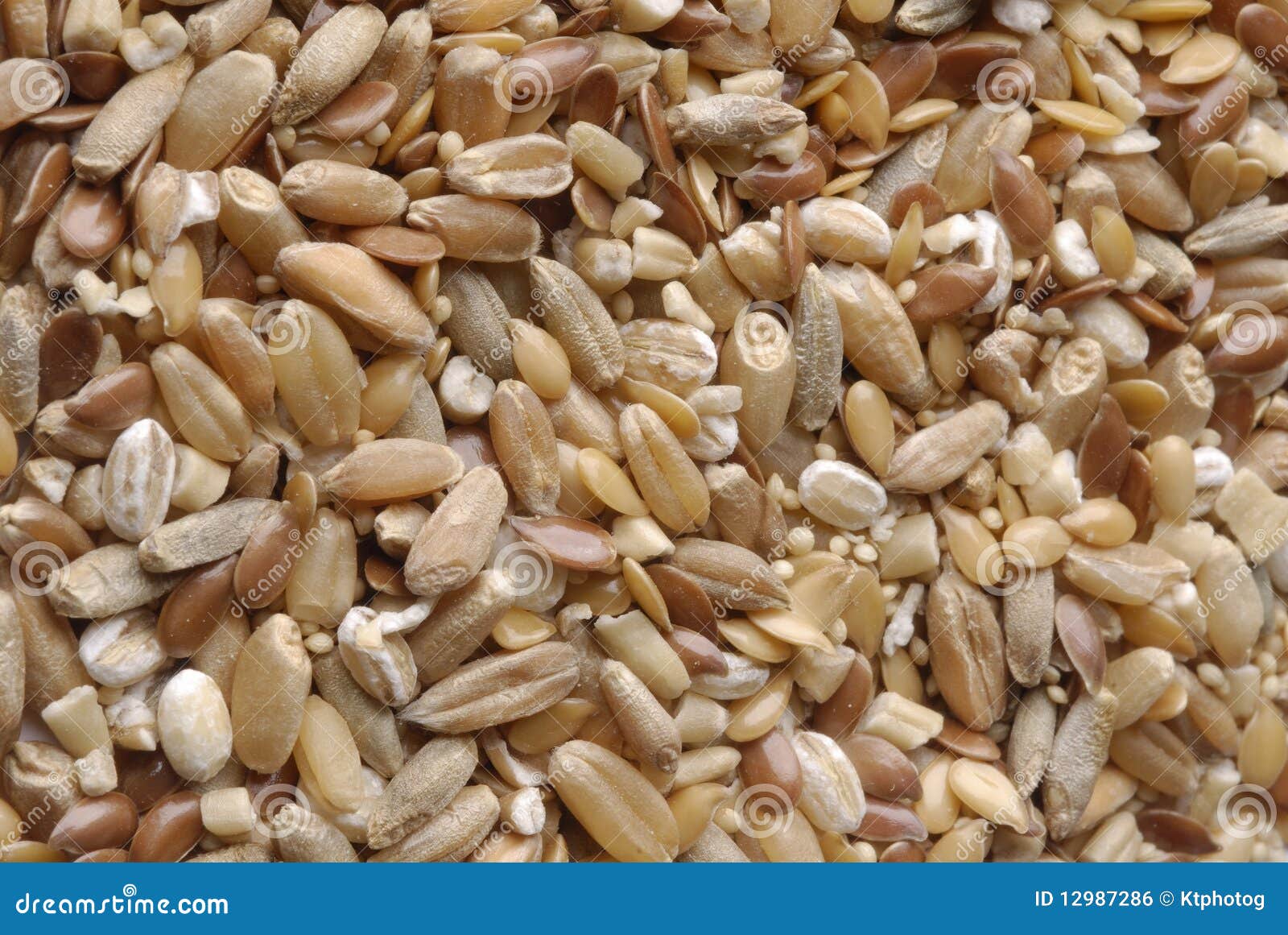 Photo of Grains and Seeds stock photo. Image of cereal - 12987286