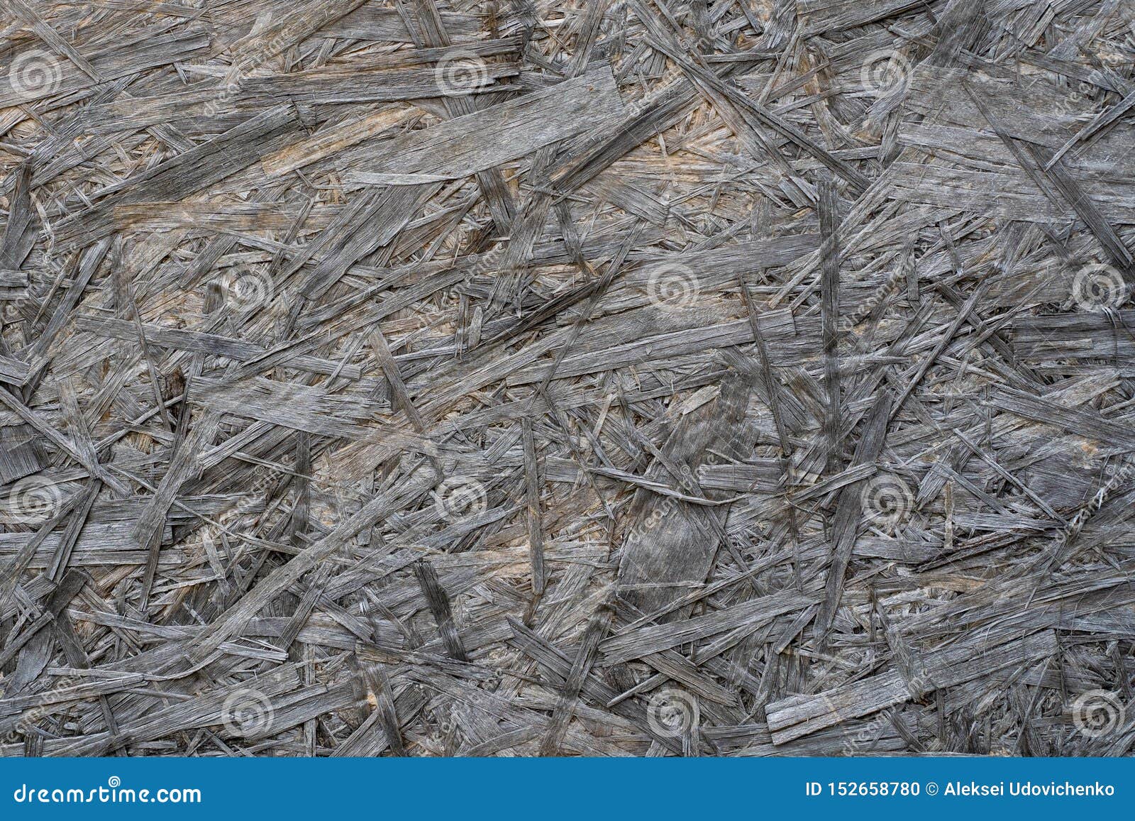 Photo of the Grey Chipboard Texture in Close View Stock Photo - Image ...