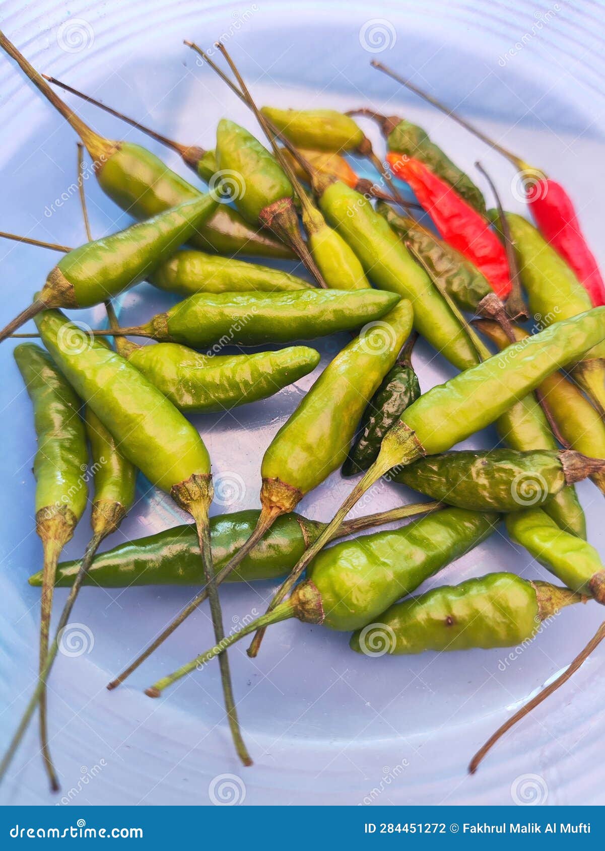 The Photo of Group Cayenne Paper (cabai Rawit) Stock Photo - Image of ...