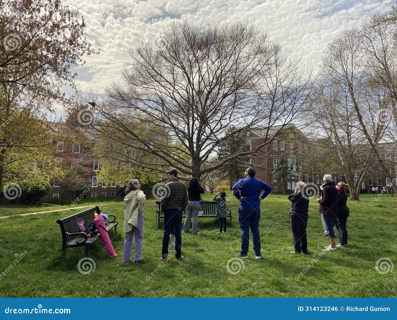 Group of People Looking at the Partial Solar Eclipse in Washington DC ...