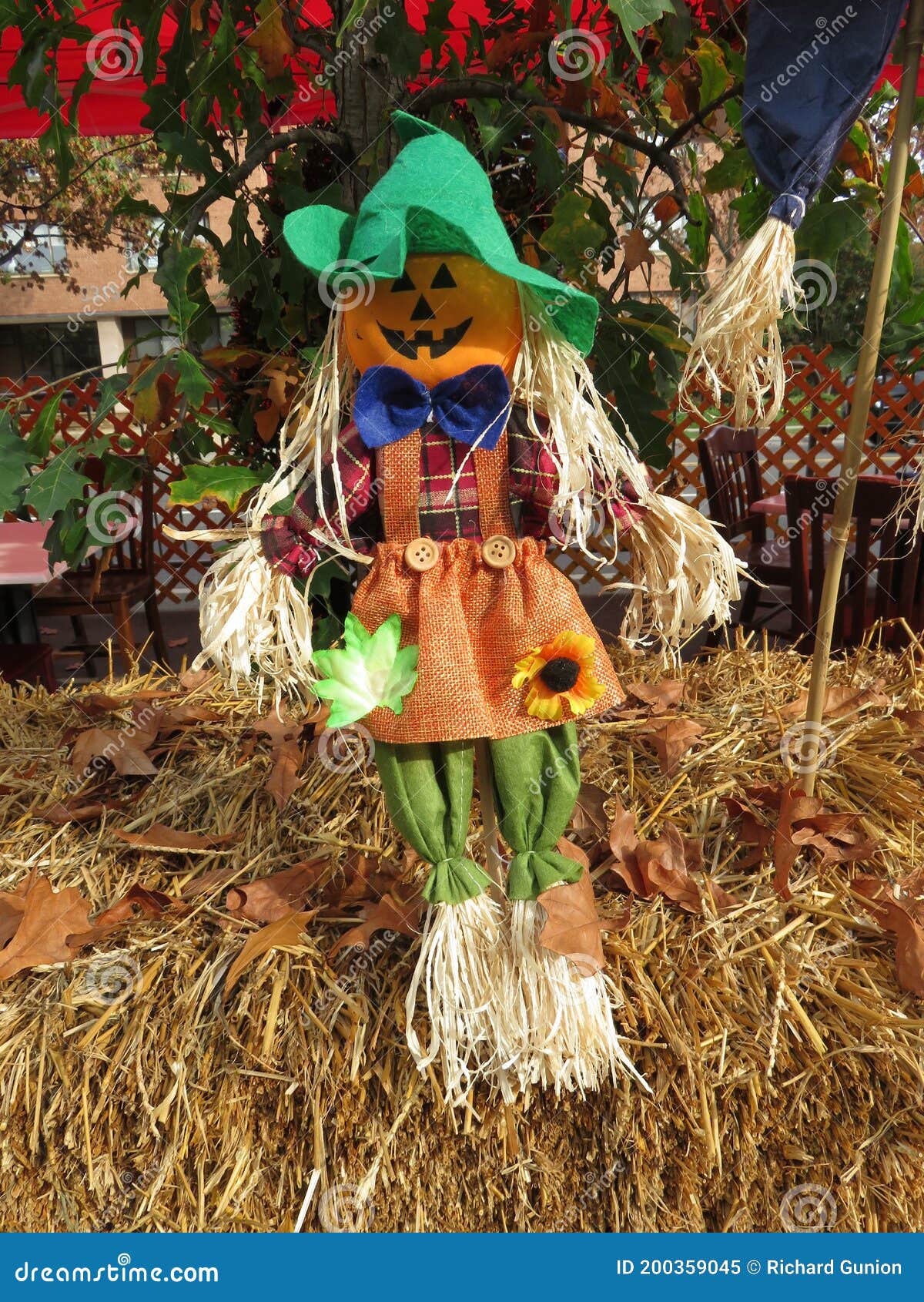 Halloween Scarecrow Witch in October Stock Image - Image of witch ...