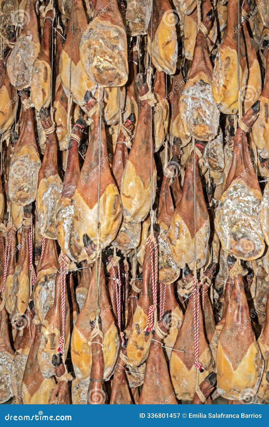 Photo of Hams Hanging Vertically while Curing Stock Image - Image of ...
