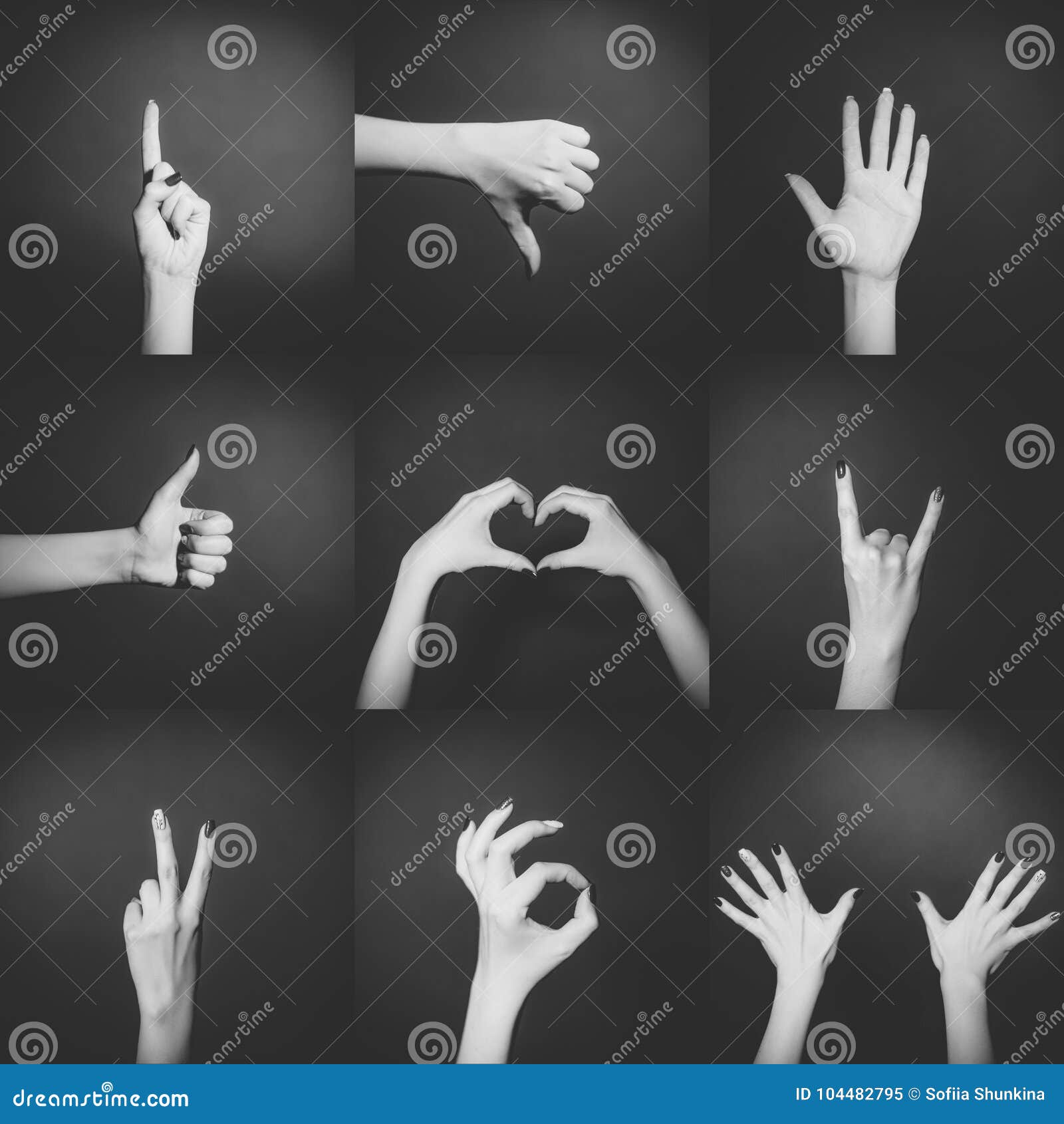 Photo of the Hand with Different Gestures Stock Image - Image of ...