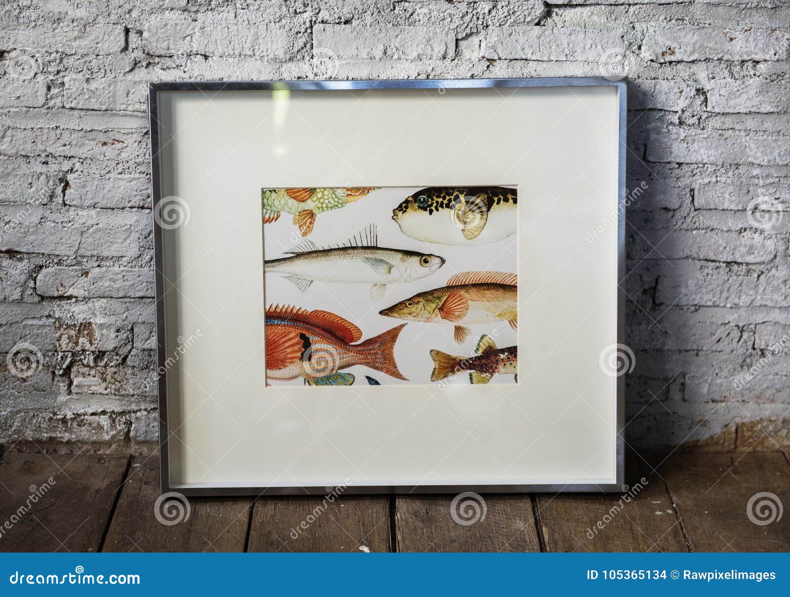 Photo of Hand Drawing Fish in a Frame Stock Photo - Image of home ...