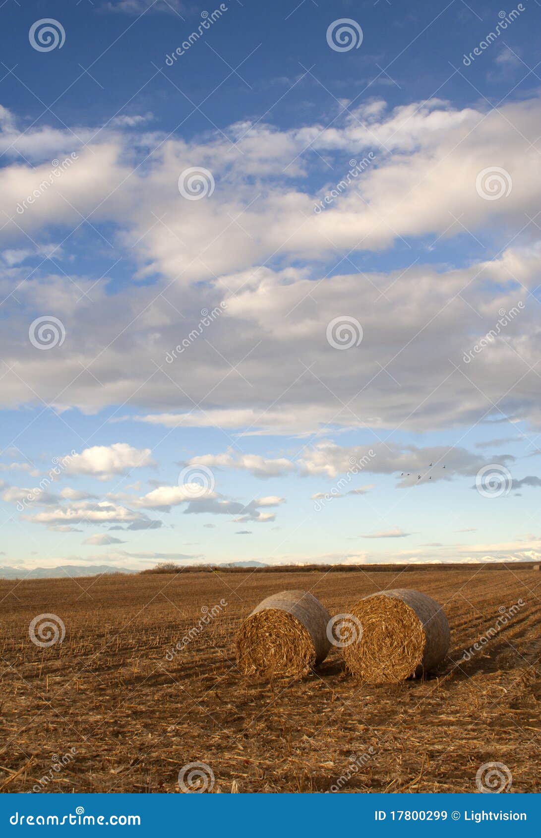 Photo of Hay Bale in Rural Colorado Stock Image - Image of grain, crop ...