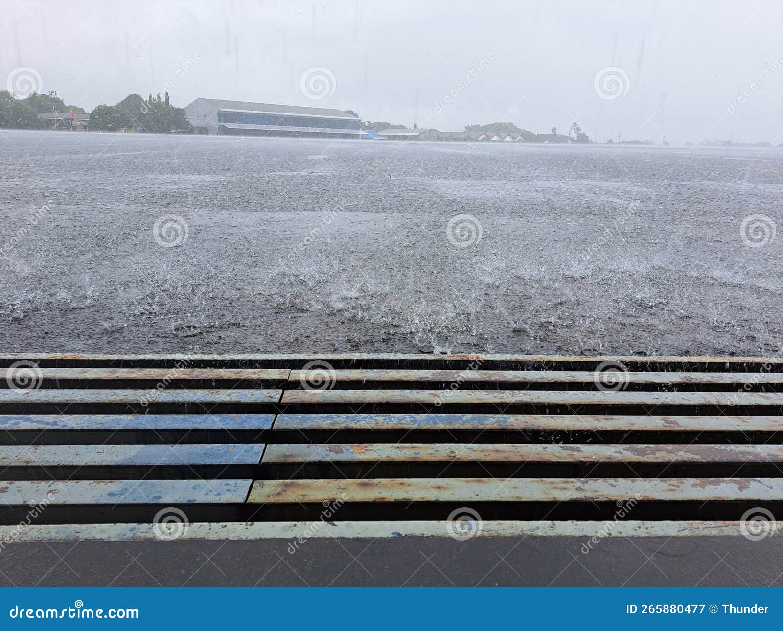 Photo of the Heavy Rain in the Morning Stock Image - Image of lane ...