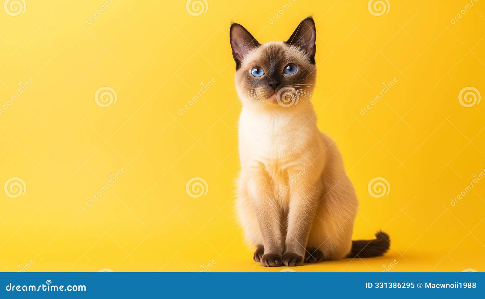 The Photo High-resolution Realistic Illustrations Featuring Different ...