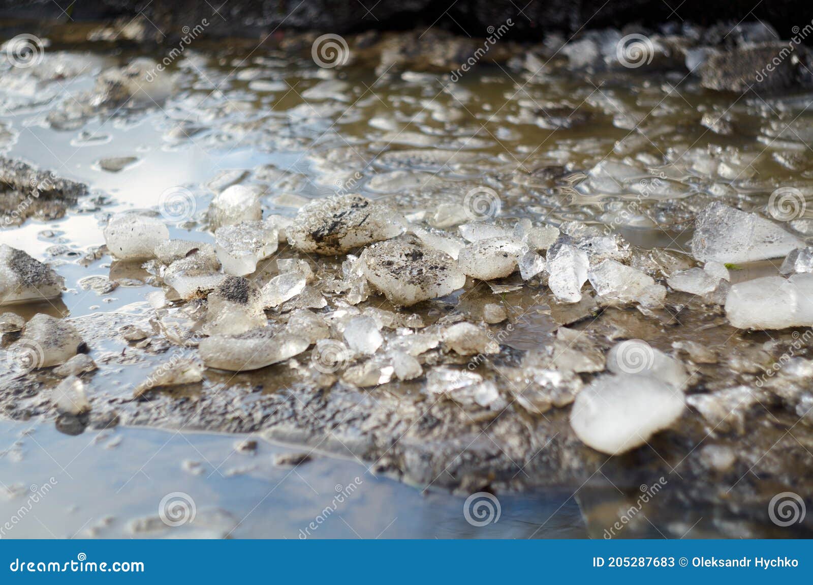 Photo of Ice Pieces in the Puddle Stock Image - Image of texture, water ...