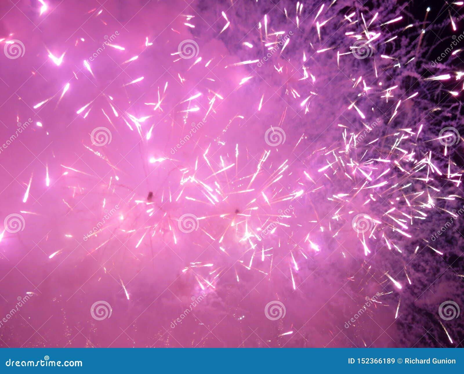 Purple Fireworks On Dark Sky Background. Background And Texture Royalty ...