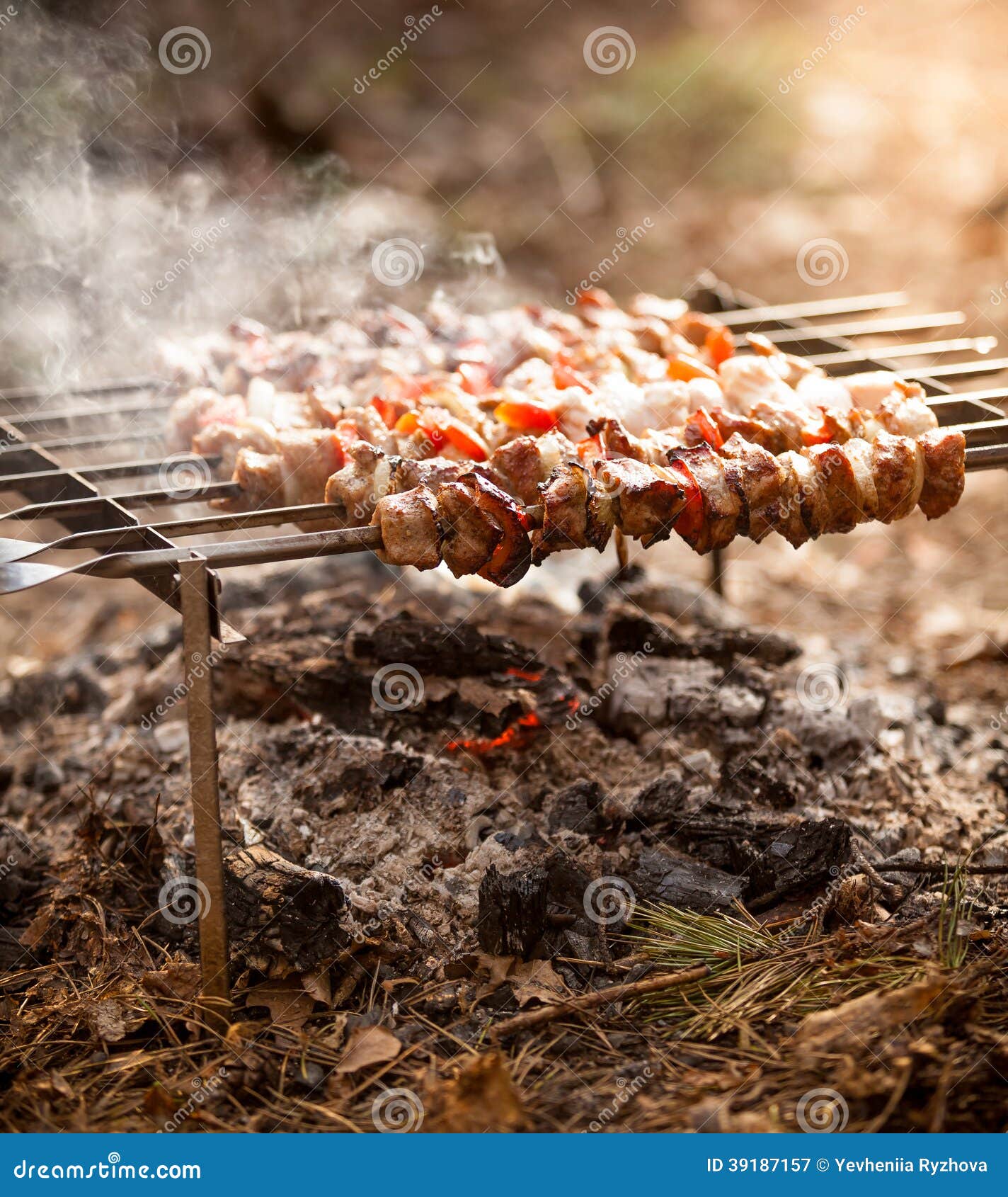 Photo of Kebab on Fire at Forest Stock Image - Image of picnic ...