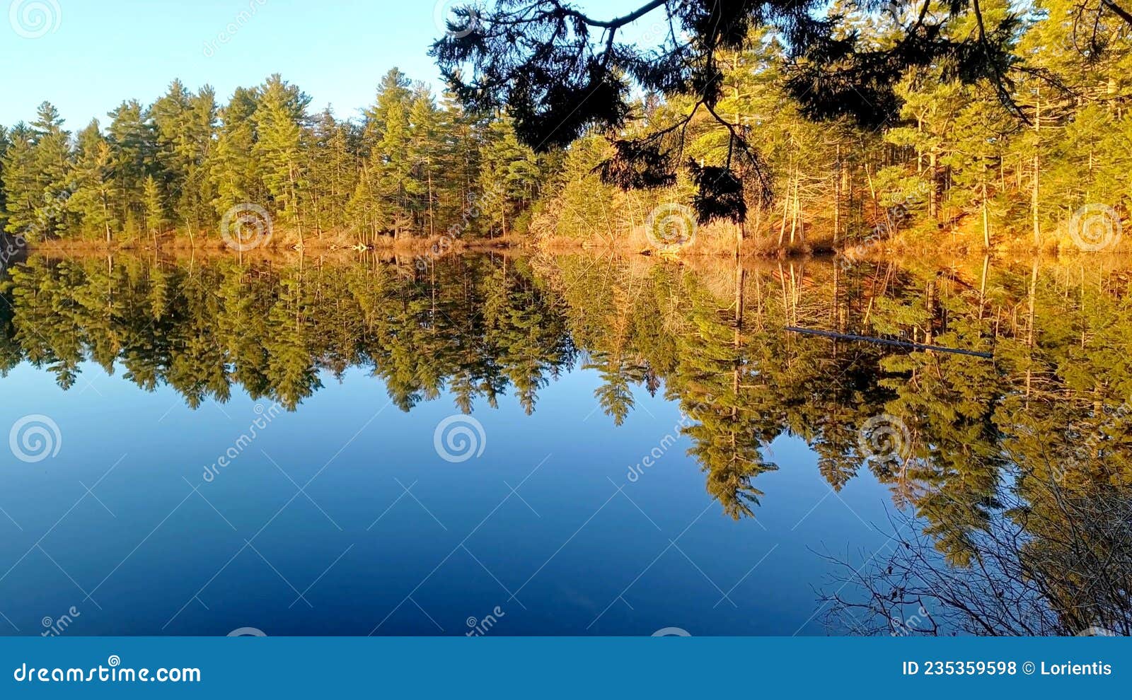 A Photo of a Lake in a Forest Stock Photo - Image of relax, blue: 235359598