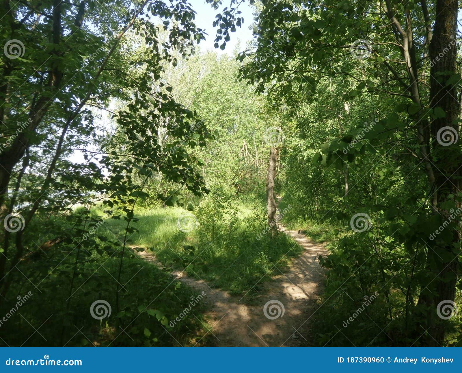 332 Branching Path Stock Photos - Free & Royalty-Free Stock Photos from ...