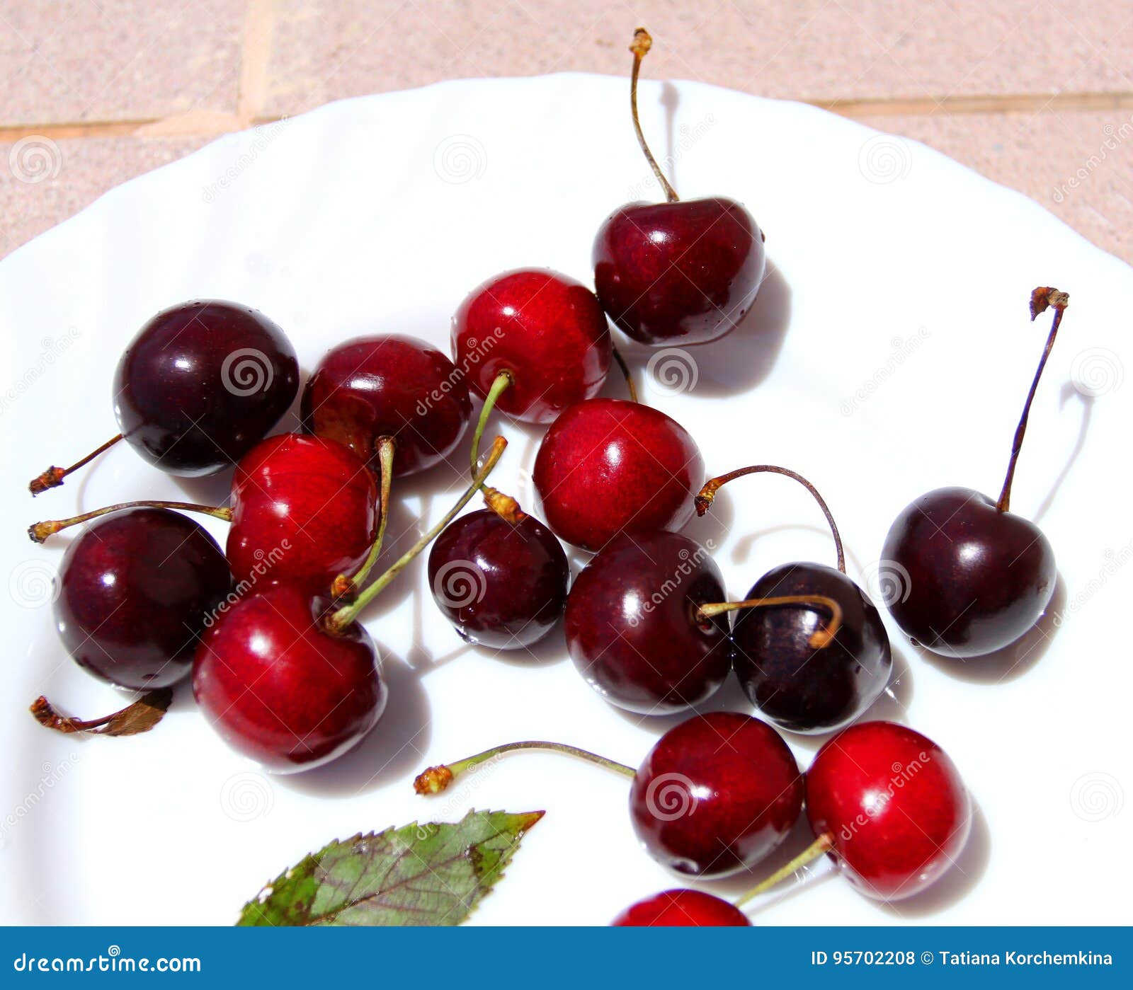 Photo of a Large Sweet Cherry Stock Photo - Image of plantations, large ...