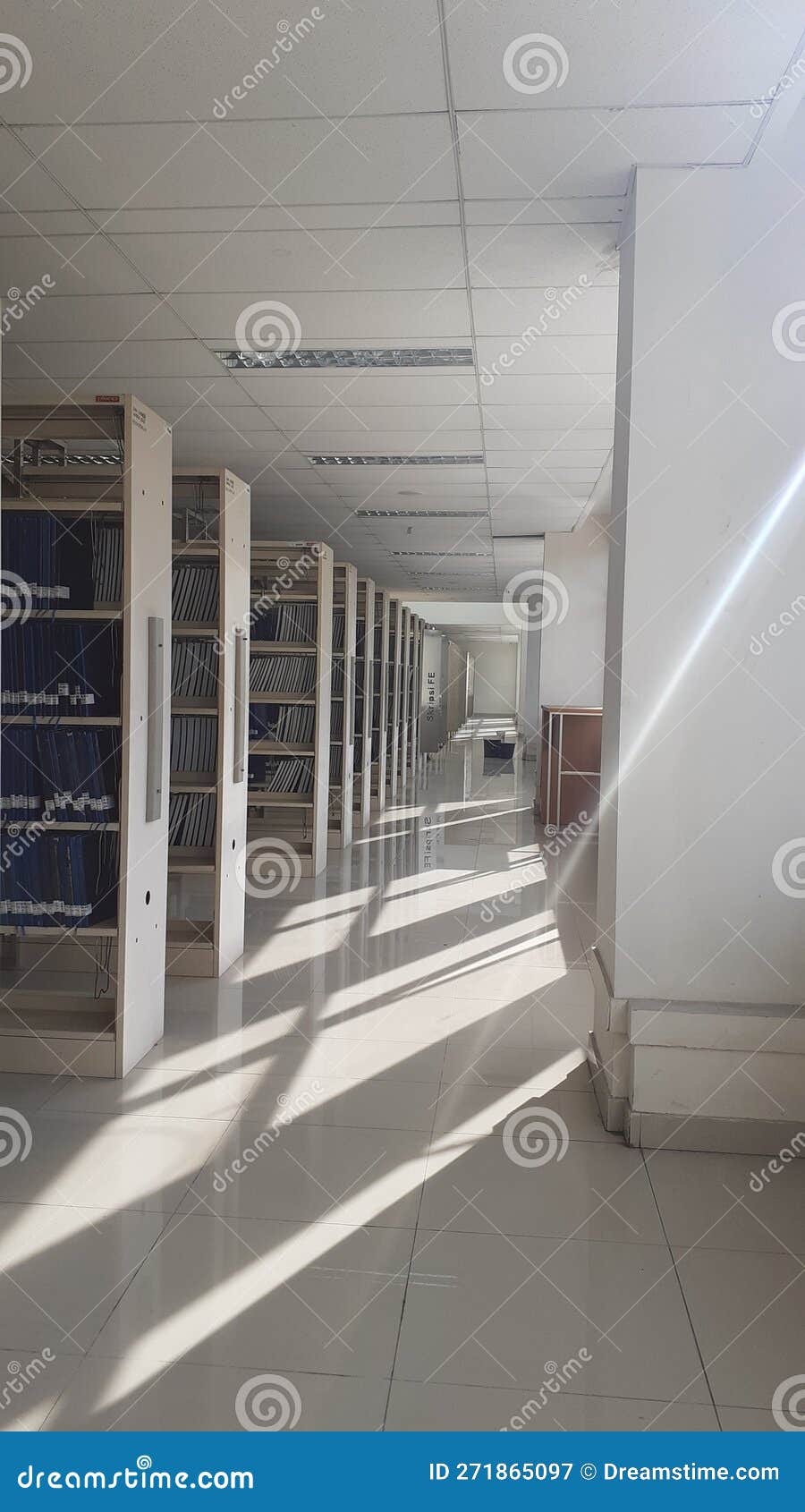Photo of Library Hallway stock image. Image of wood - 271865097