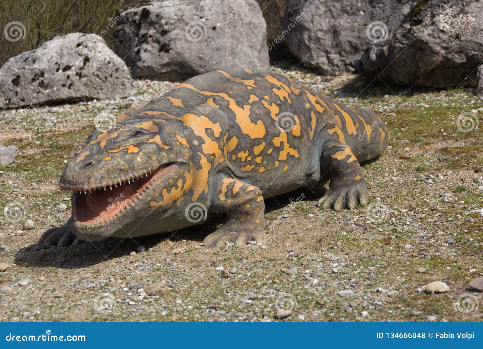 Lizard dinosaur editorial stock photo. Image of large - 134666048