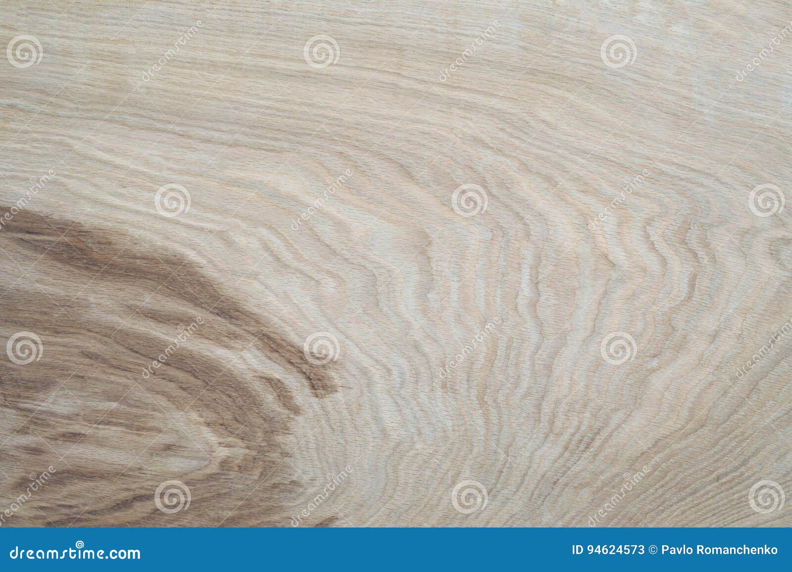 Photo of Light Coloured Oak Texture, Creative Background Stock Image ...