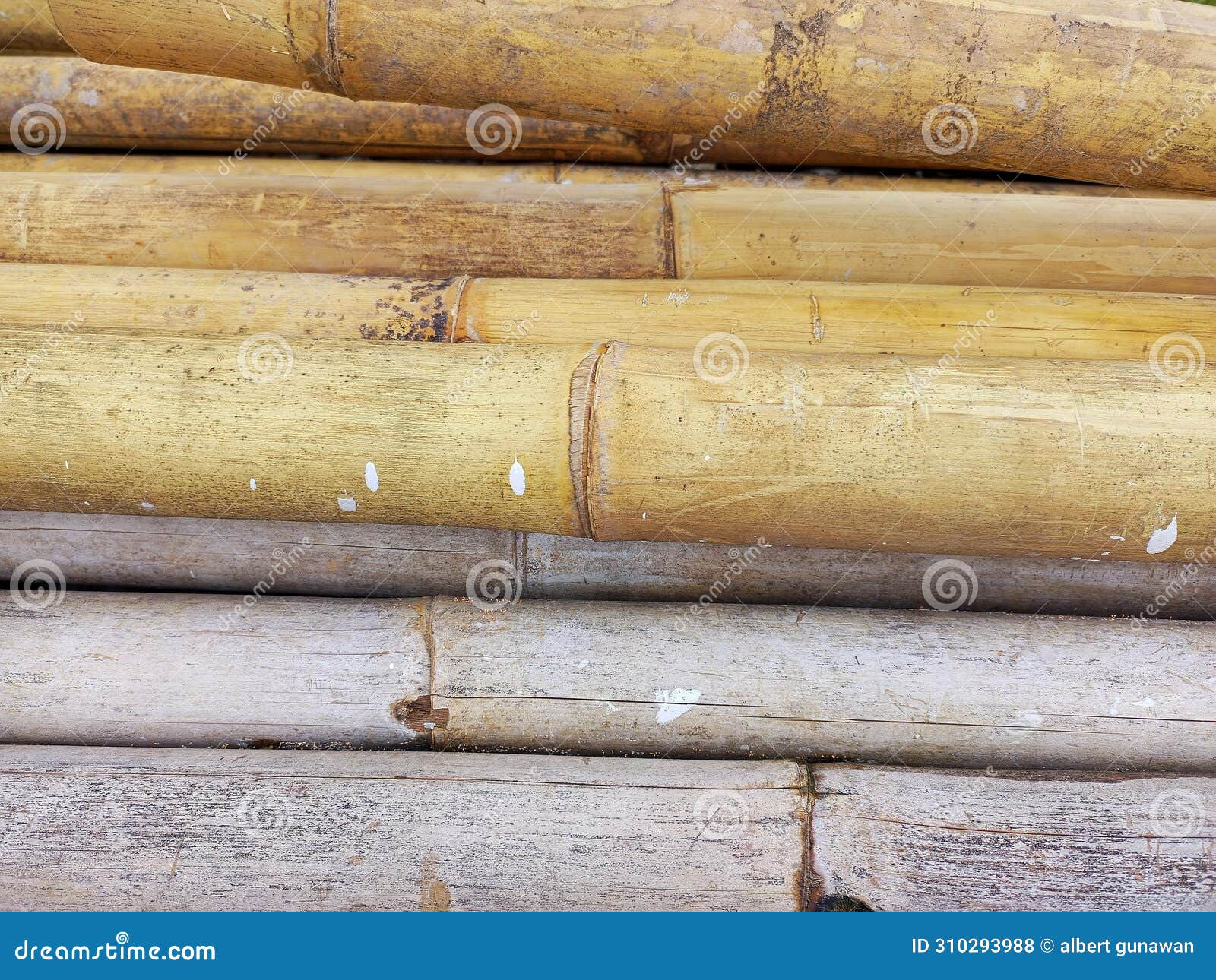 Photo of Light and Dark Yellow Bamboo Textures Stock Photo - Image of ...