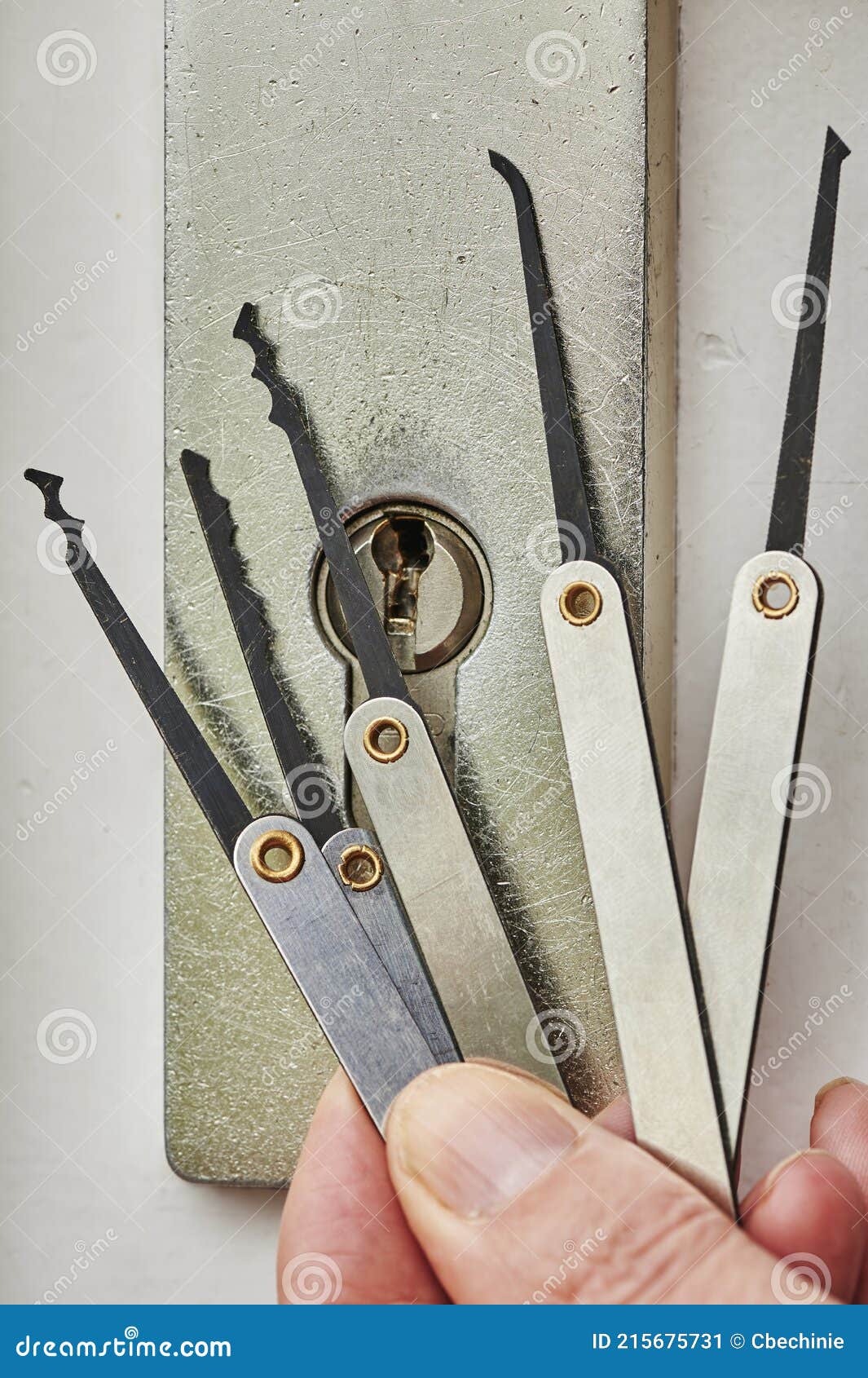 Photo of Lockpicks in Front of a Closed Door Stock Image - Image of ...