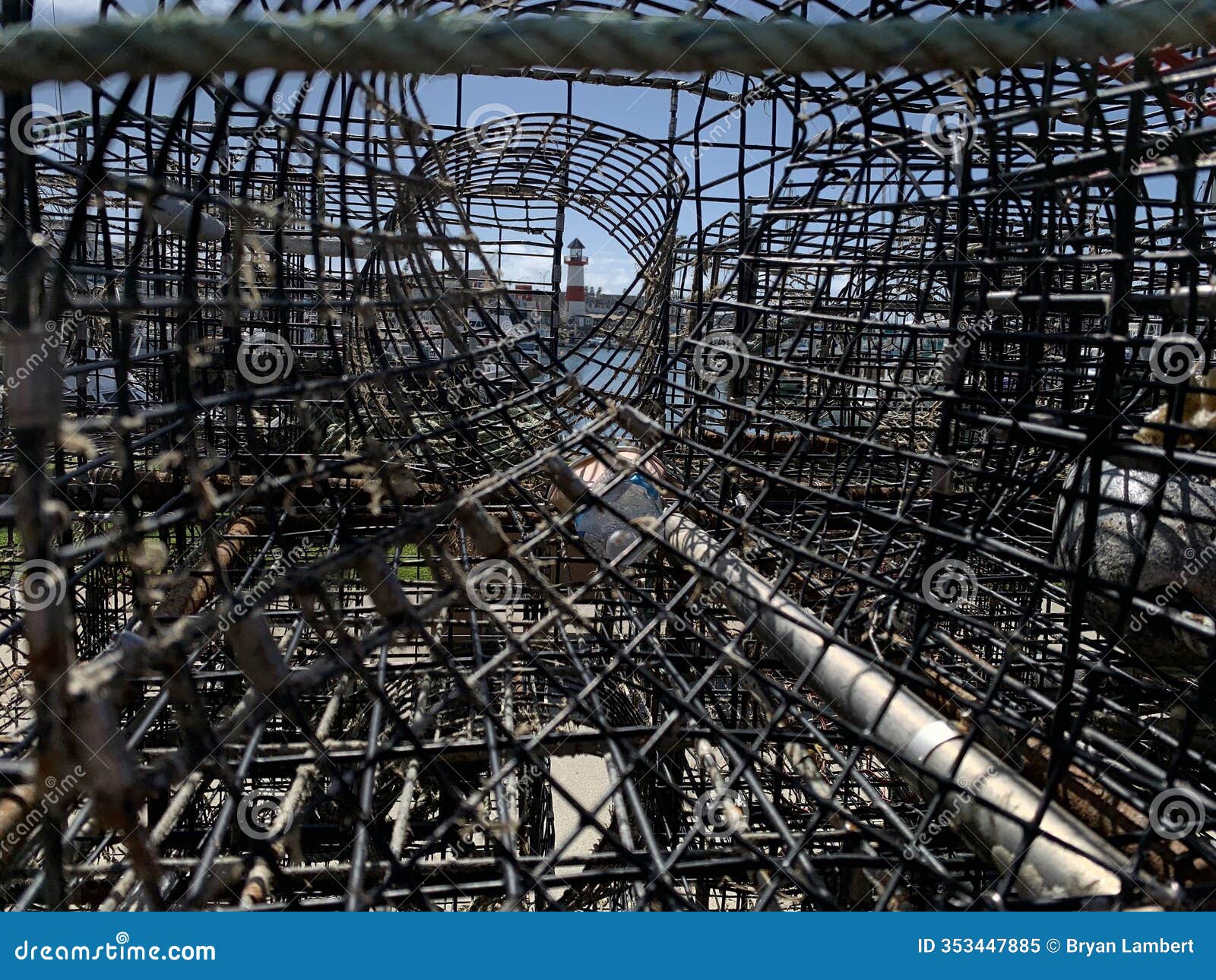 Lobster Trap Maze stock image. Image of lobster, perspective - 353447885