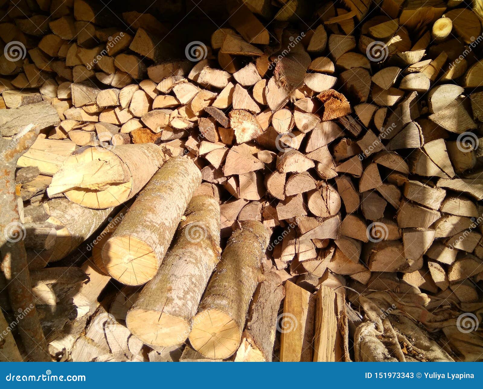 A Lot of Wood Lying in the Wood Stock Image - Image of stacked, lumber ...