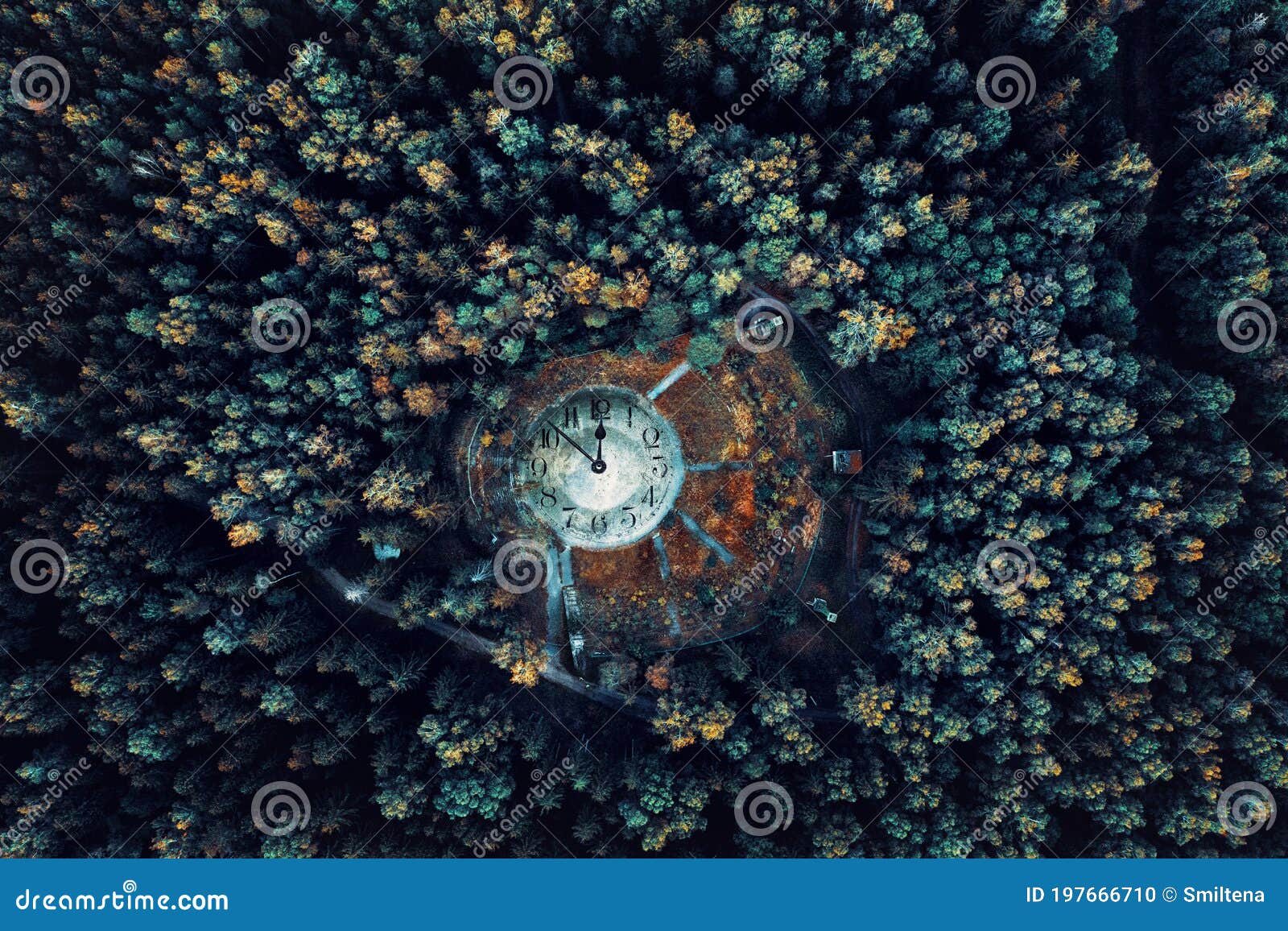 Photo Manipulation, Aerial View of a Huge Clock in the Forest Stock ...