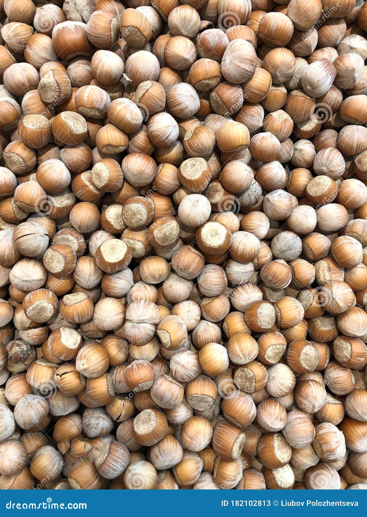 Photo Many Nuts on the Counter Supermarket Stock Image - Image of shell ...