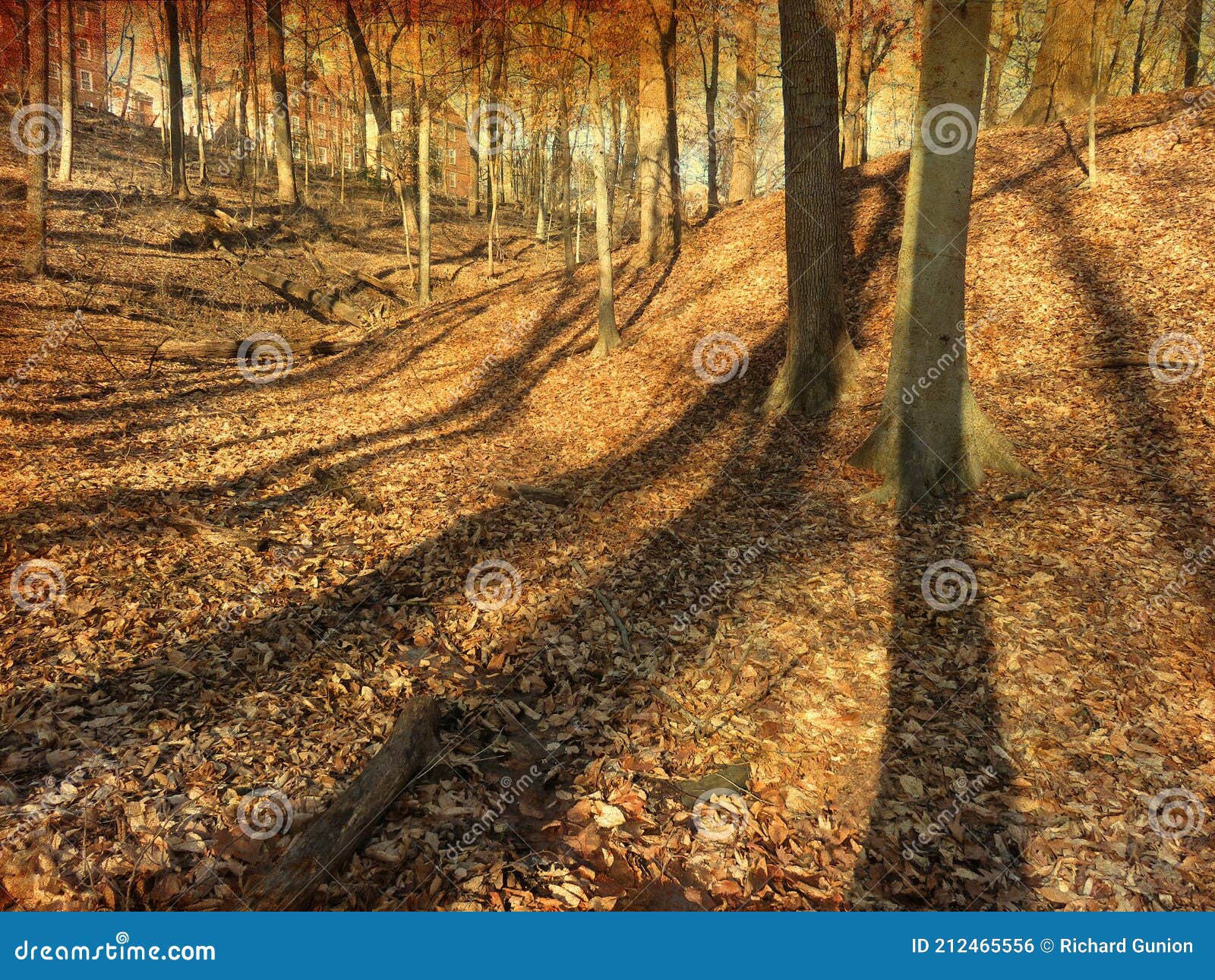 March Landscape in the Forest Stock Photo - Image of brown, march ...