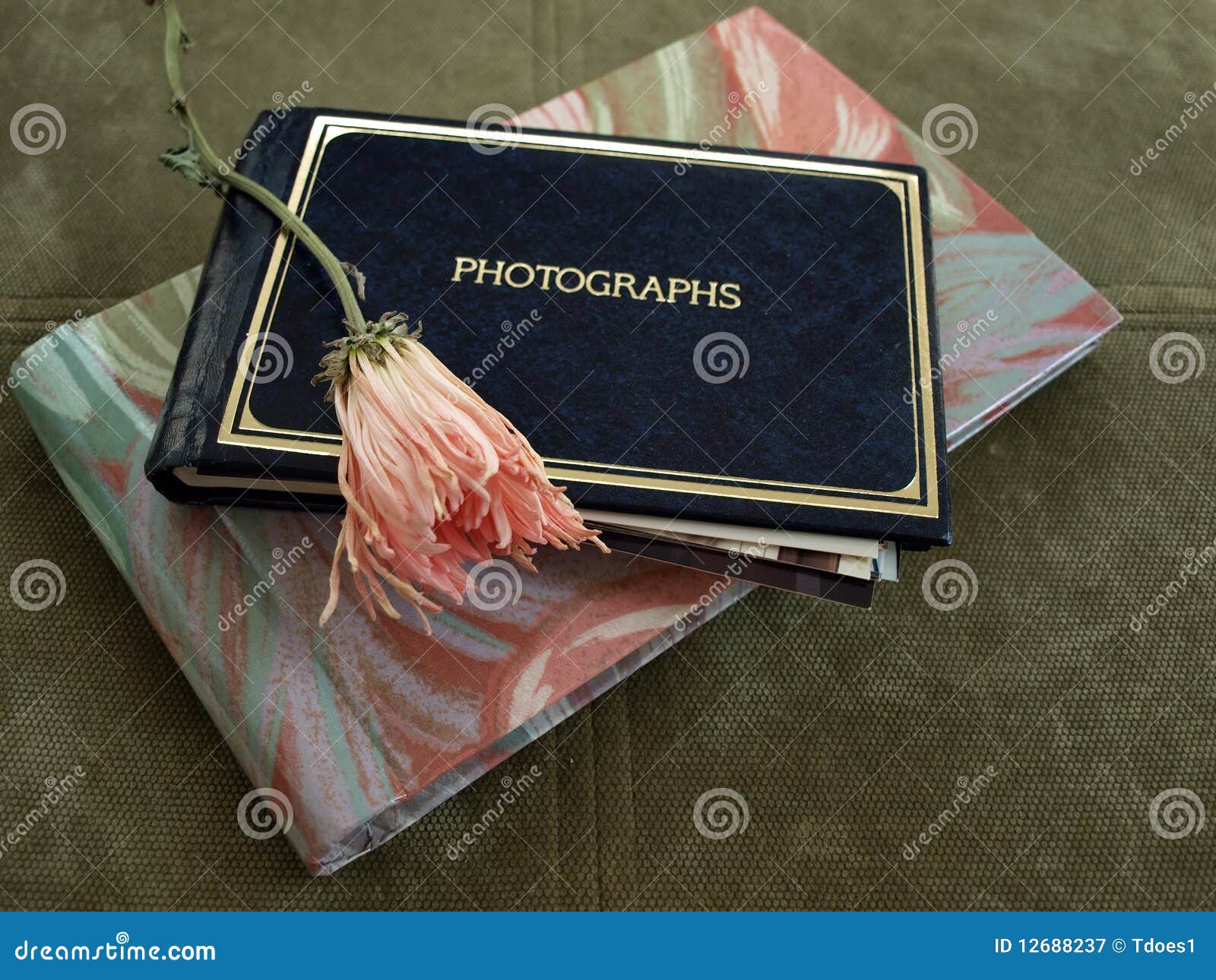 Photo memories stock image. Image of conceptual, photograph - 12688237