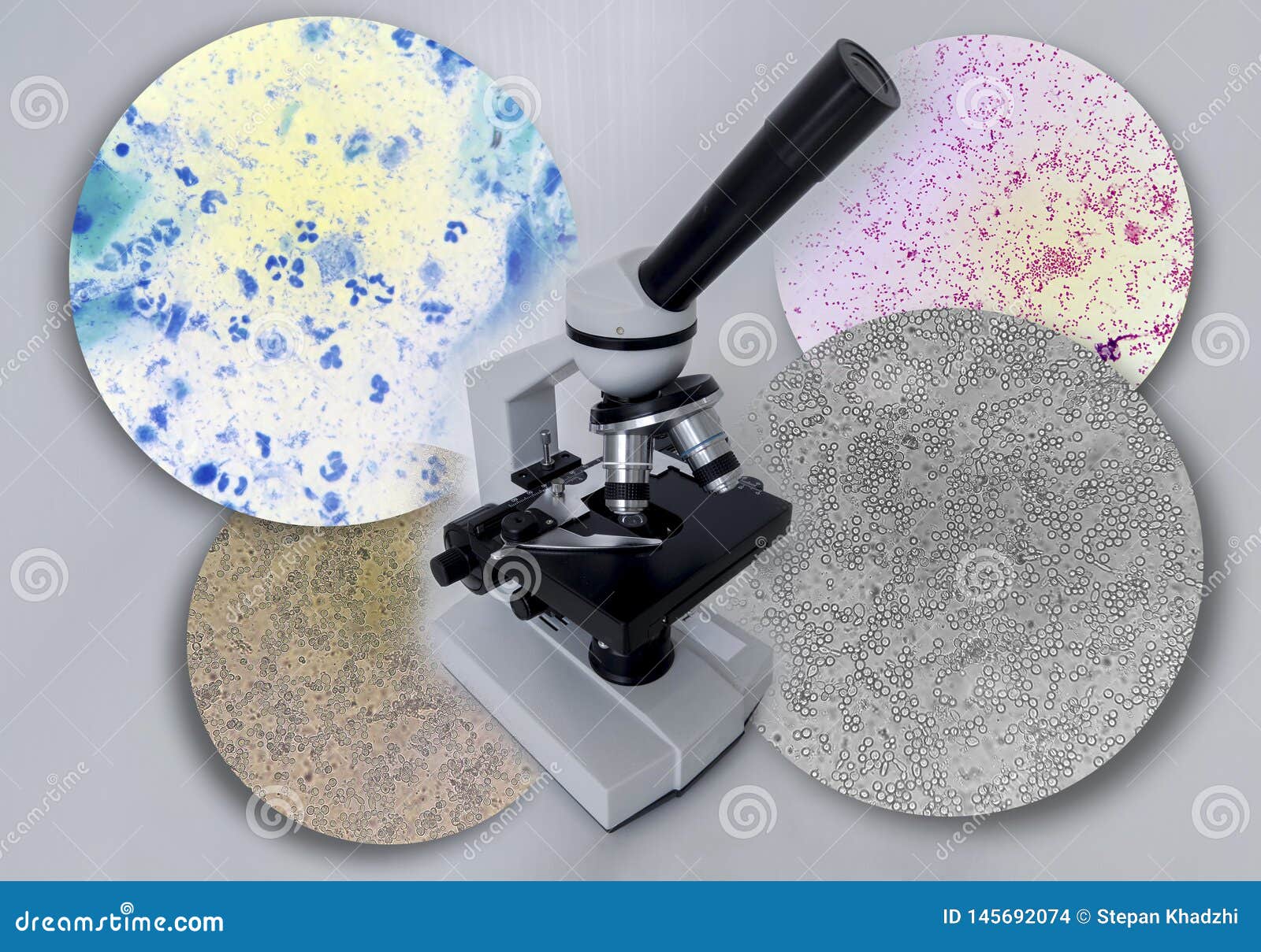 Photo of a Microscope with Images from a Microscope on a Background ...