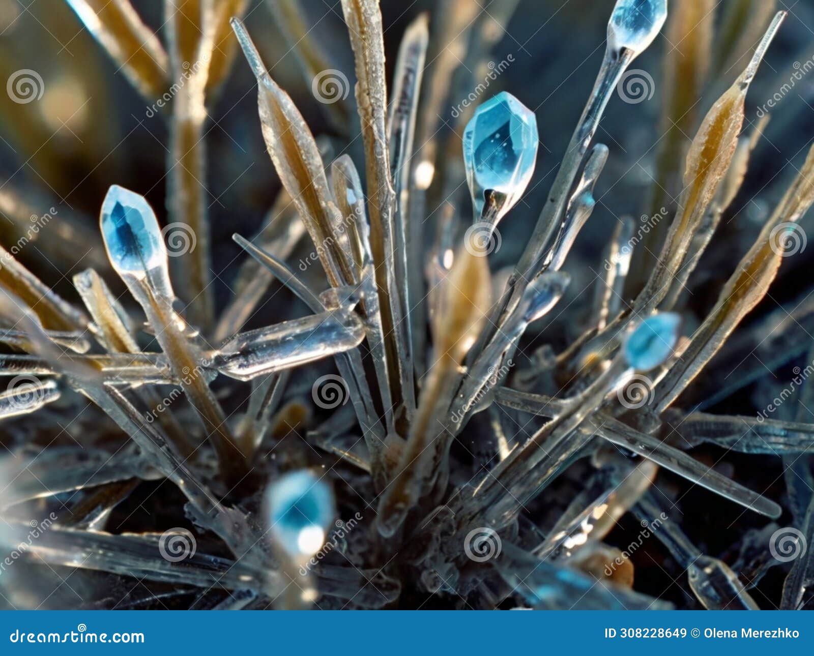 Microscopic Crystals on the Surface Stock Illustration - Illustration ...