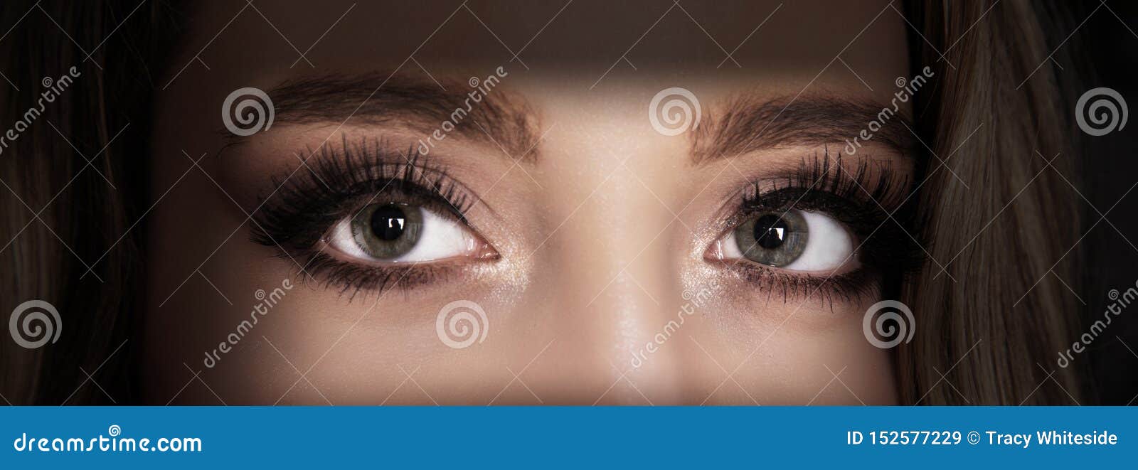 Photo of Models Eyes with Dramatic Makeup Stock Image - Image of ...