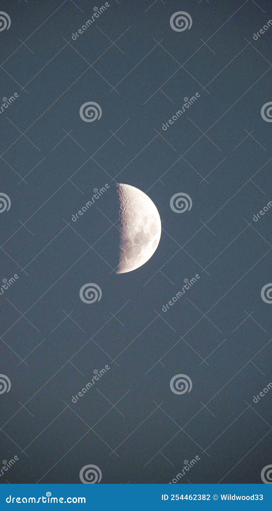 Moon in the night sky stock photo. Image of circle, line - 254462382