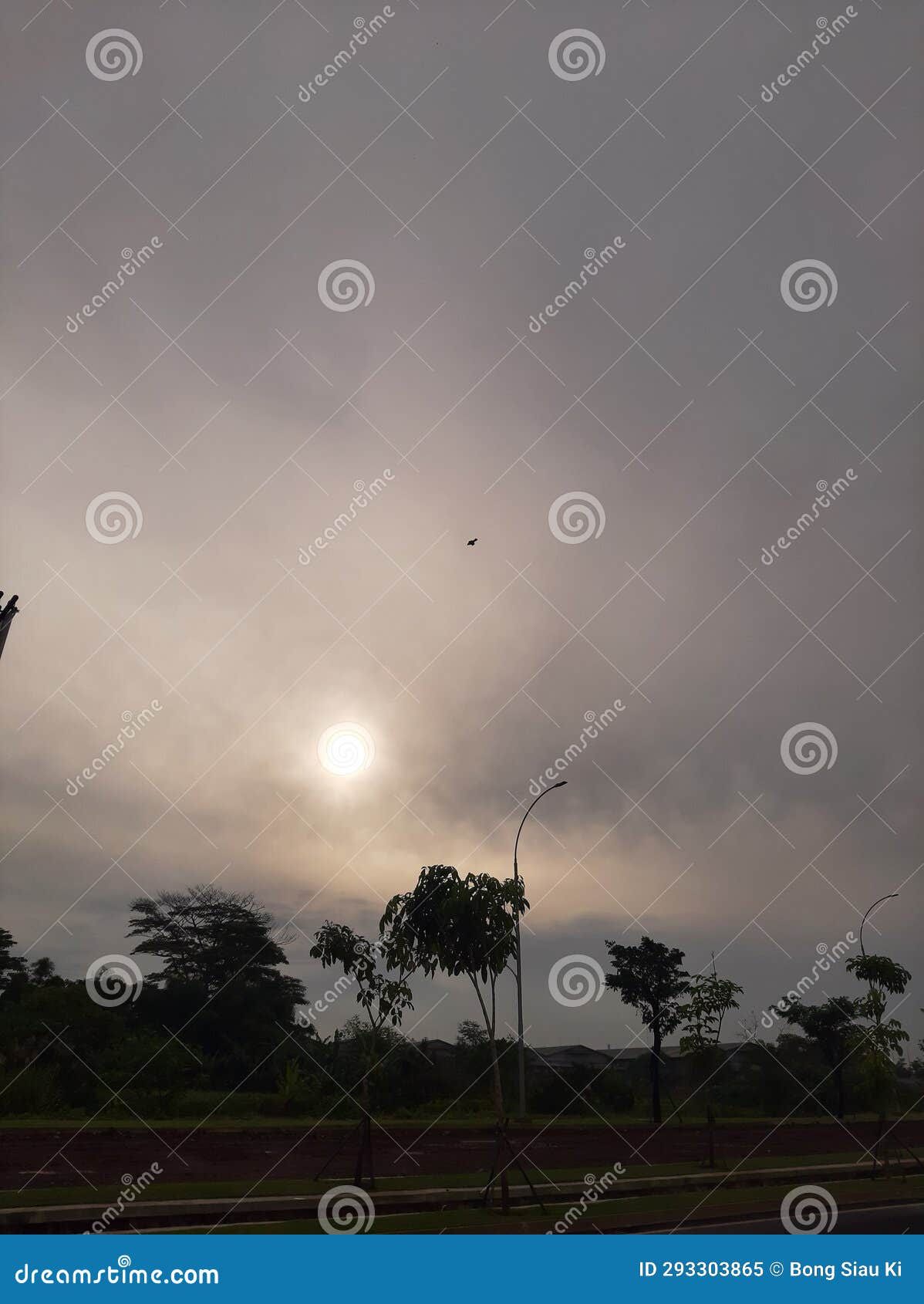 Photo of the Morning Sun Just Rising Stock Image - Image of warm ...
