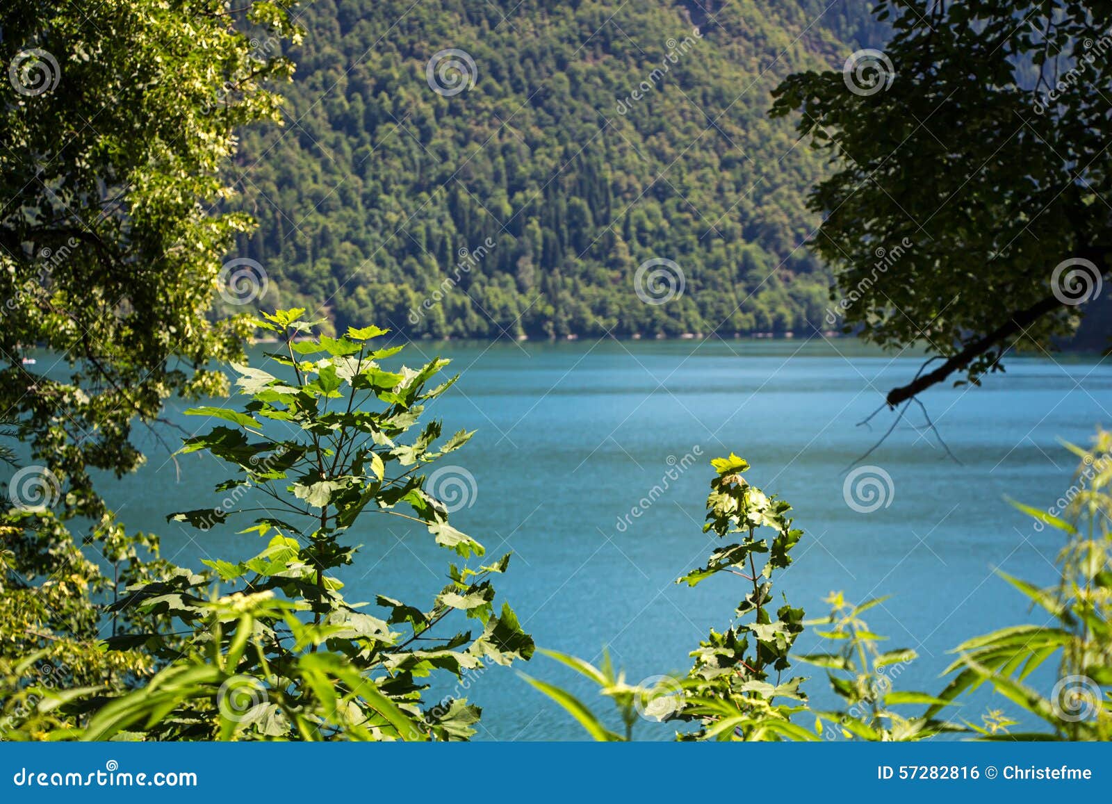 Photo of Mountain Lake through the Trees Stock Photo - Image of ripple ...