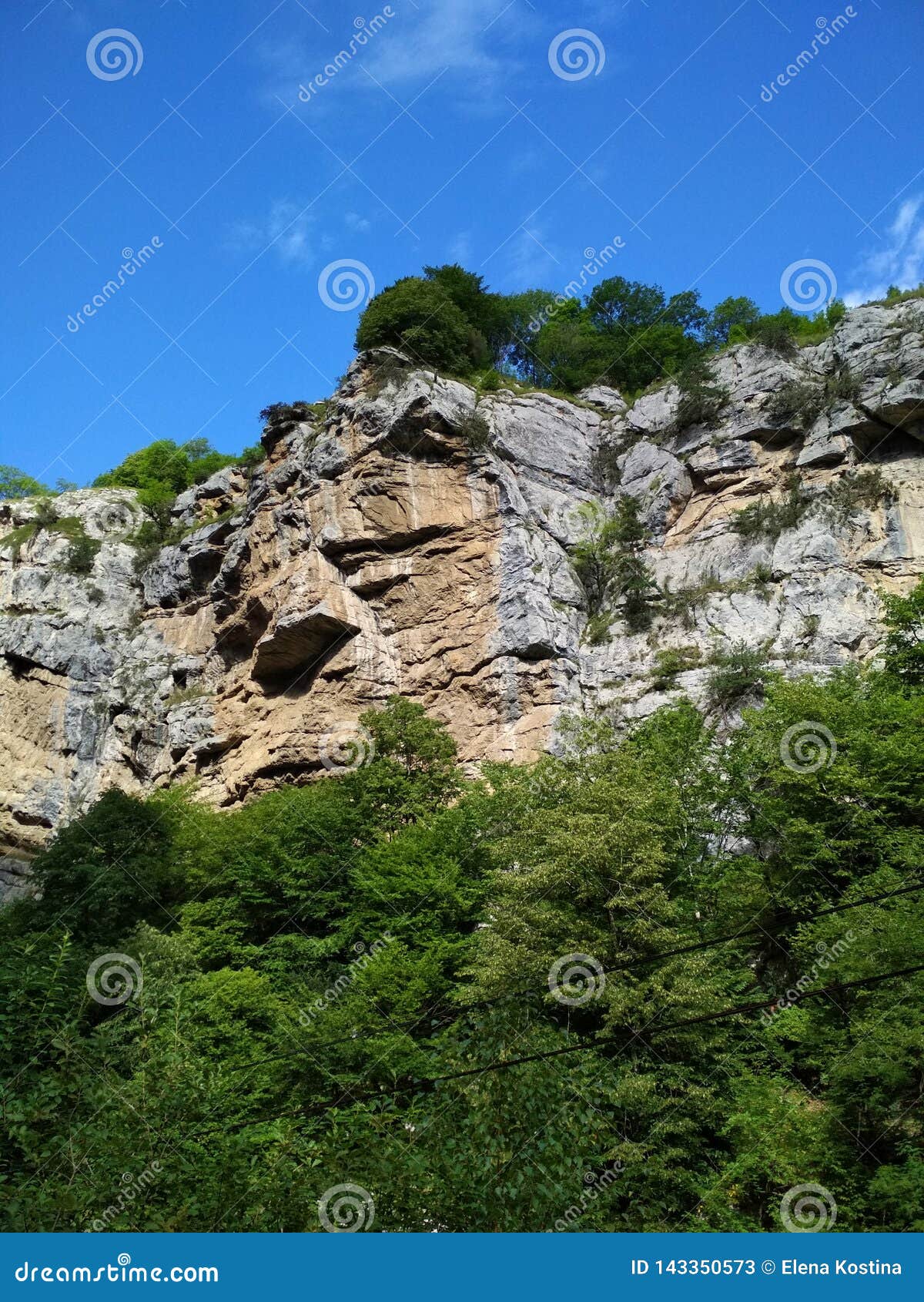 The View of the Mountain, Many Trees Stock Image - Image of hill ...