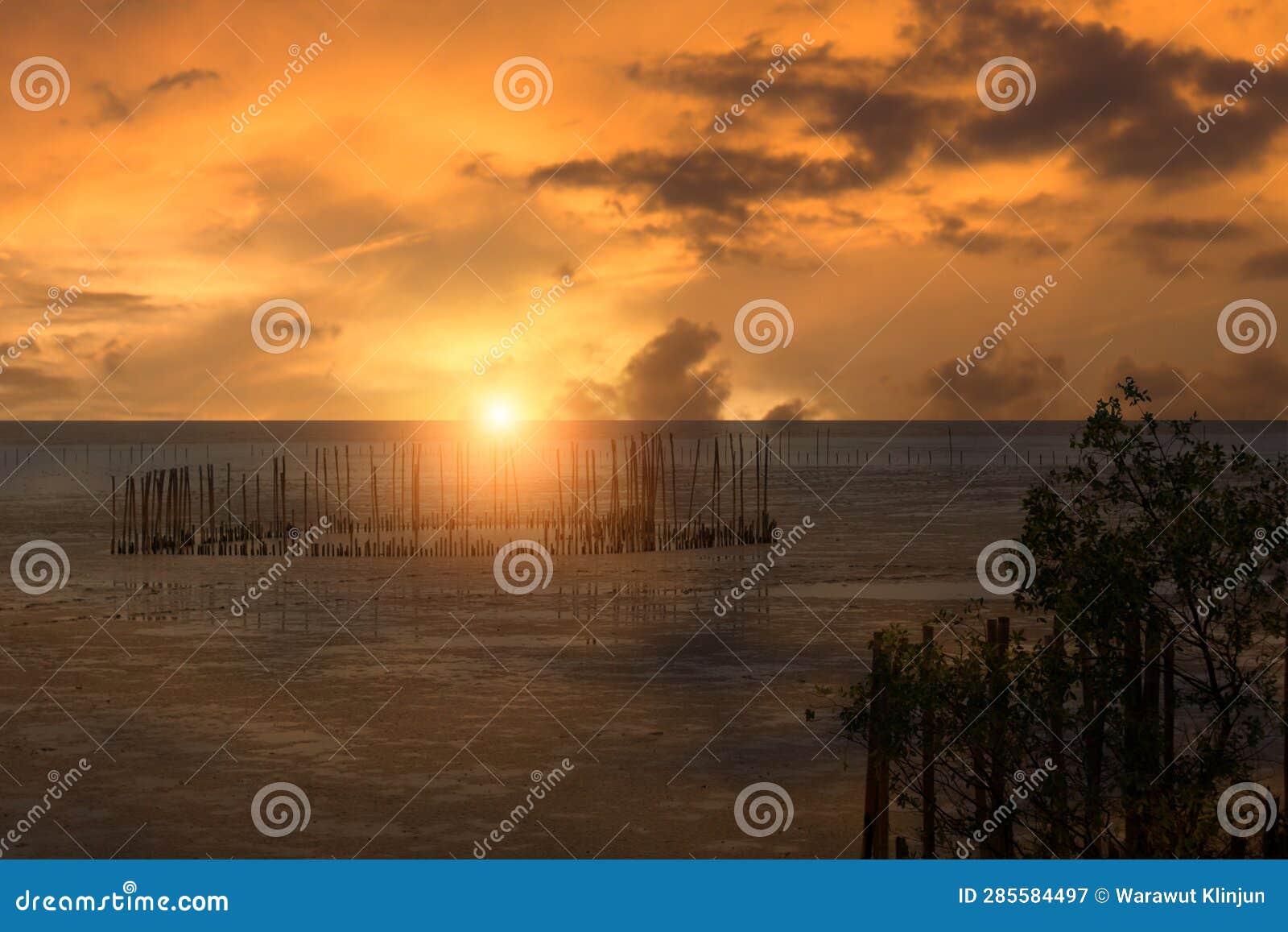 Photo of a Mudflat Beach in the Morning when the Sun is Rising Stock ...