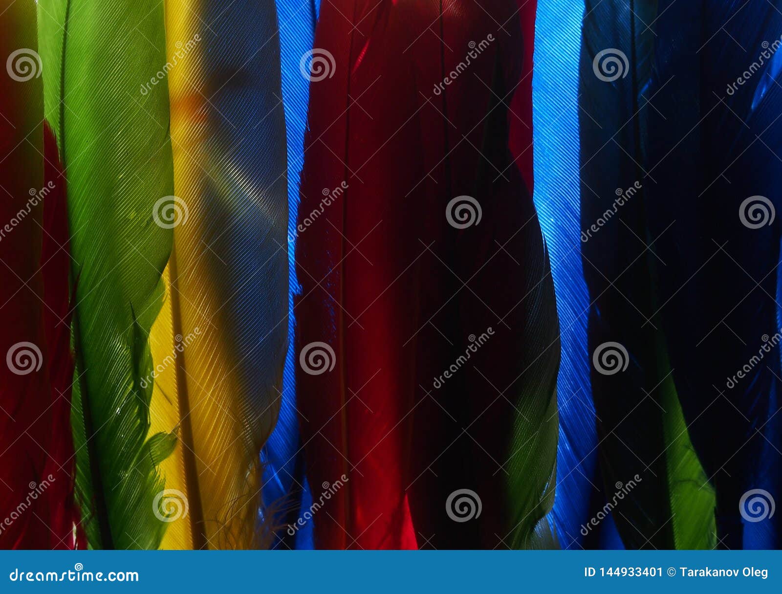Photo of Multi-colored Feathers. Background Image Stock Image - Image ...