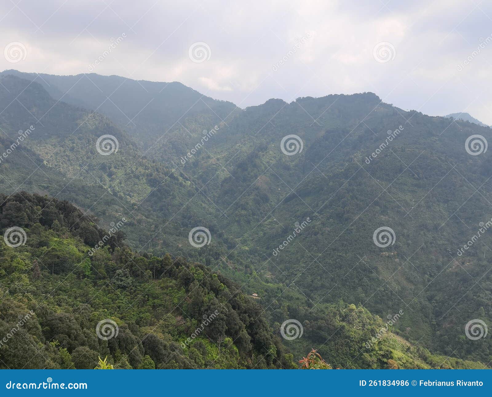Photo of Natural Scenery in a Small Mountain Range in One of the ...