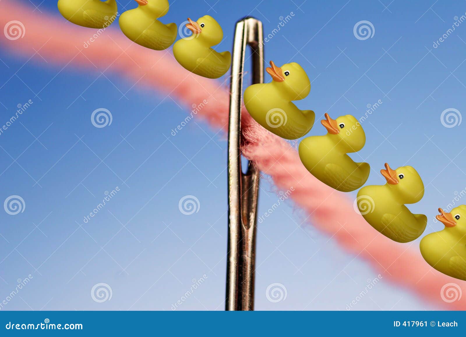 Photo of Needle and Thread and Row of Ducks Following Each Other Stock ...