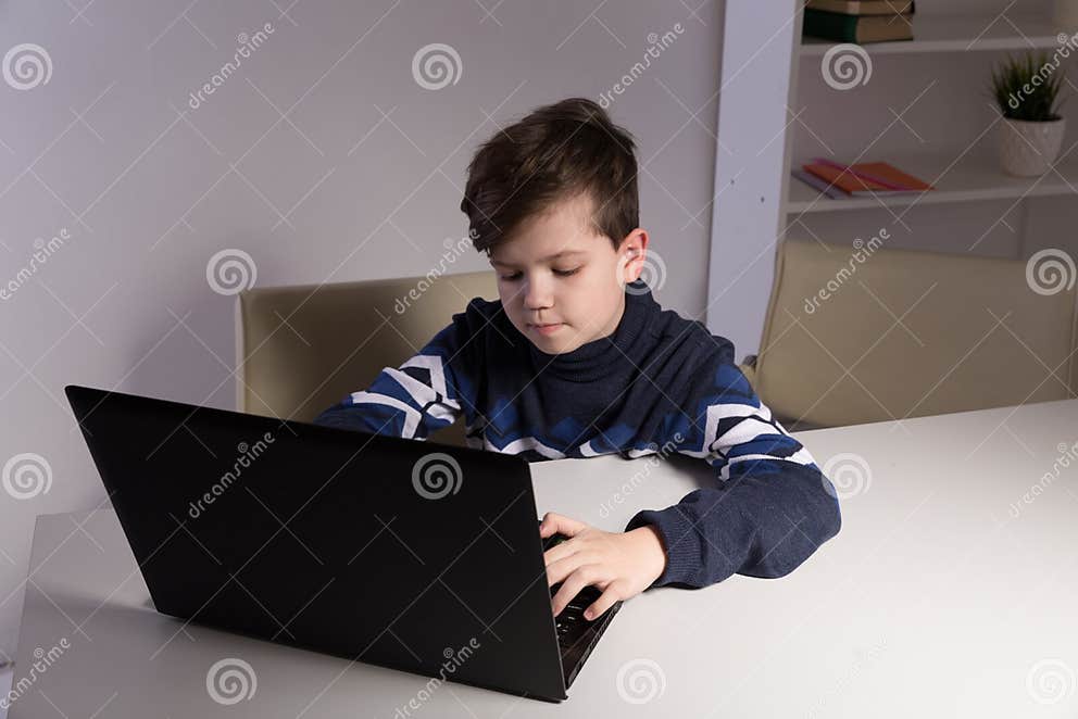 Photo of Nice Boy in Sweater Sitting Infront of the Computer Doing ...