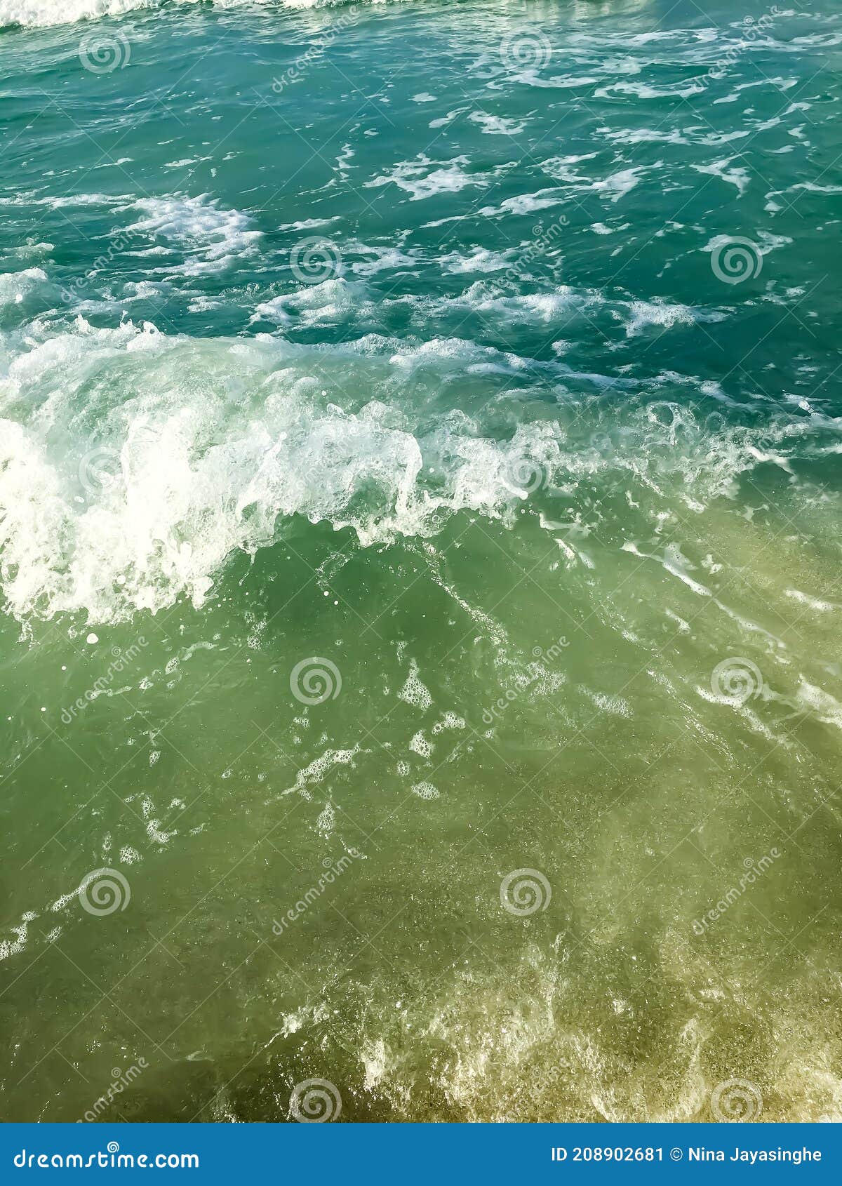 Photo of Ocean Wave with Foam and Water with Visible Bottom Stock Image ...
