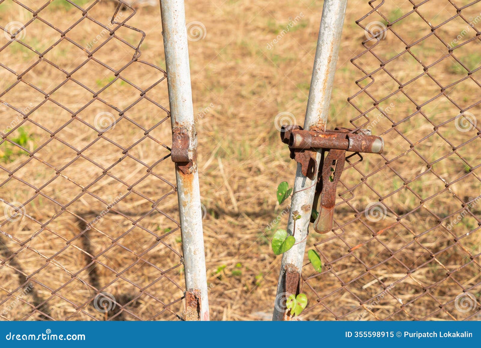 Photo of an Old Broken Gate Stock Image - Image of fence, building ...