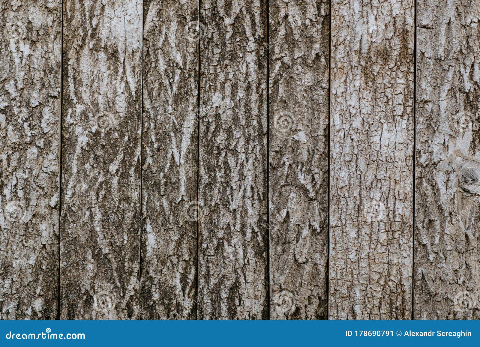 Photo of Old Grey Wood Texture with Natural Patterns. Stock Image ...