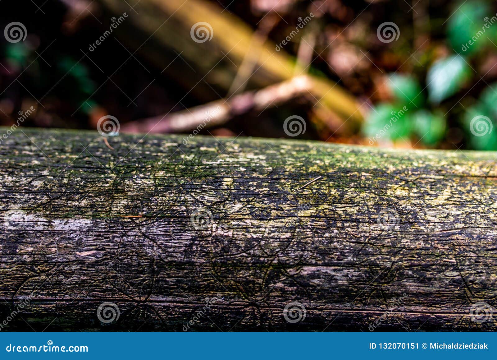 Old Rusty Log with Forest As Background Stock Image - Image of ...